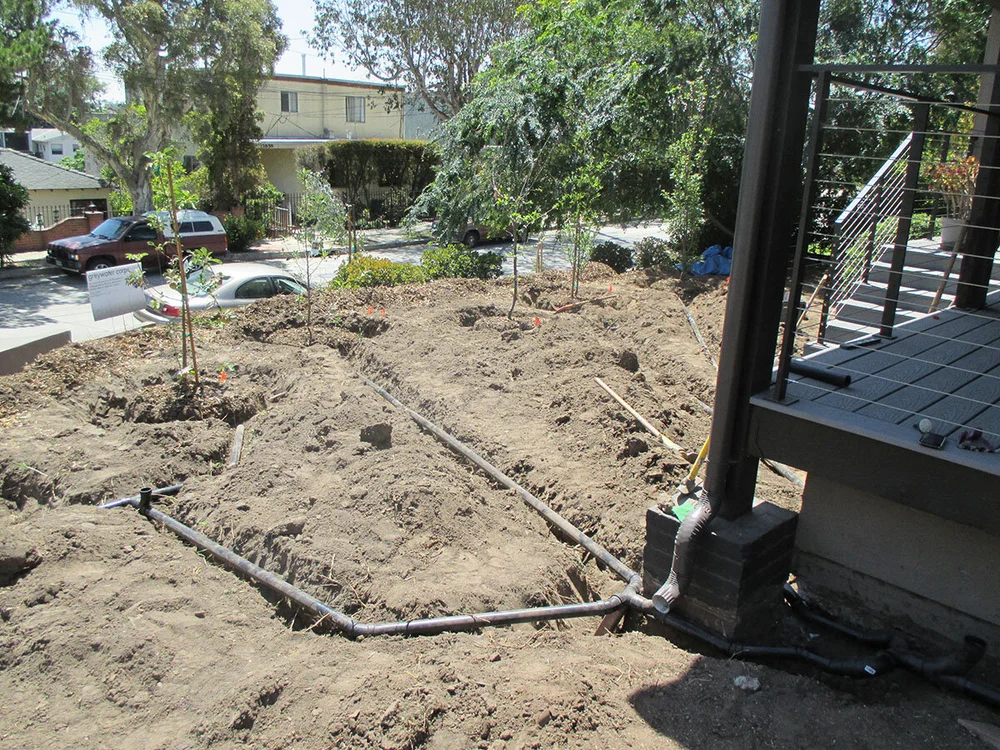 Branched Drain — Greywater Corps