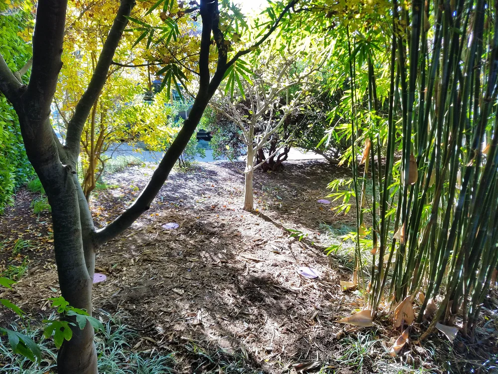 Mulch Basin — Greywater Corps