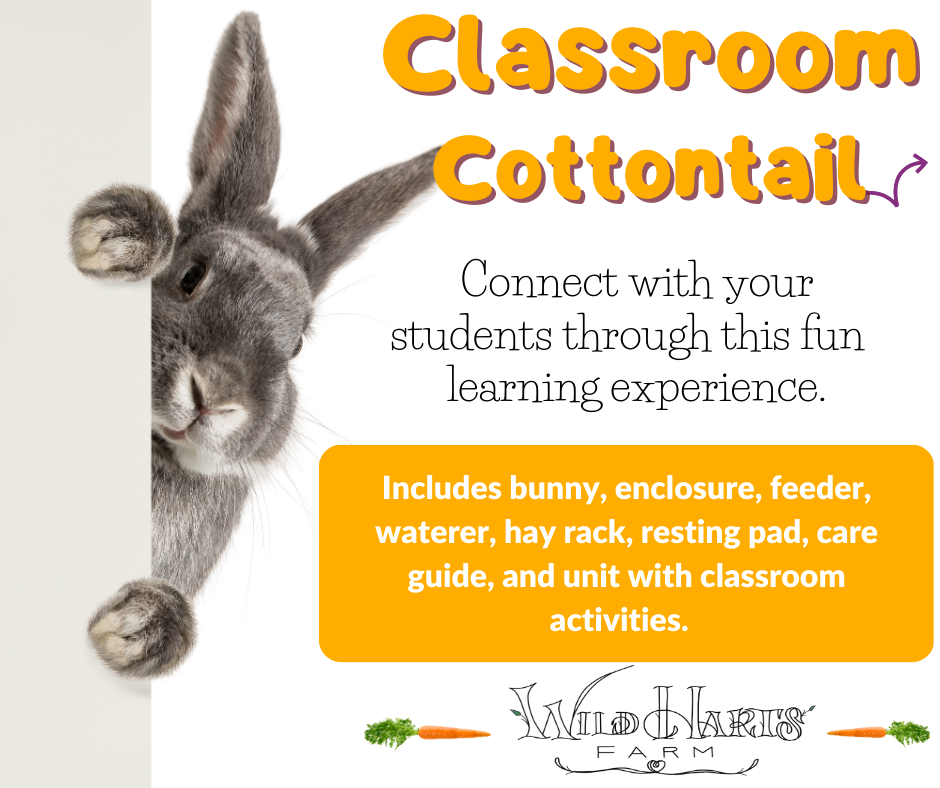 Farm 2 Classroom — Wild Harts Farm