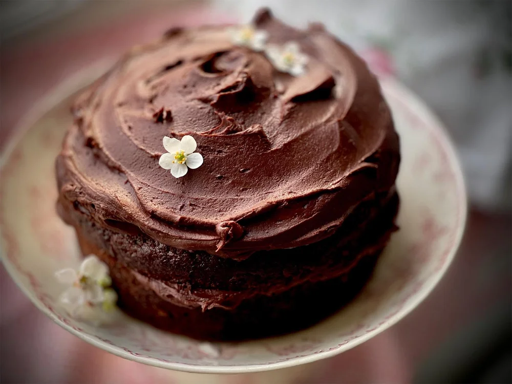 Best Ever Decadent Chocolate Cake — Cinnamon & Bluebells