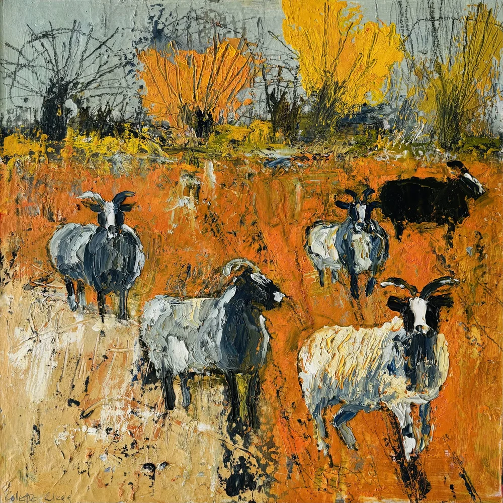 Buy Colette Clegg's Art — Colette Clegg Art