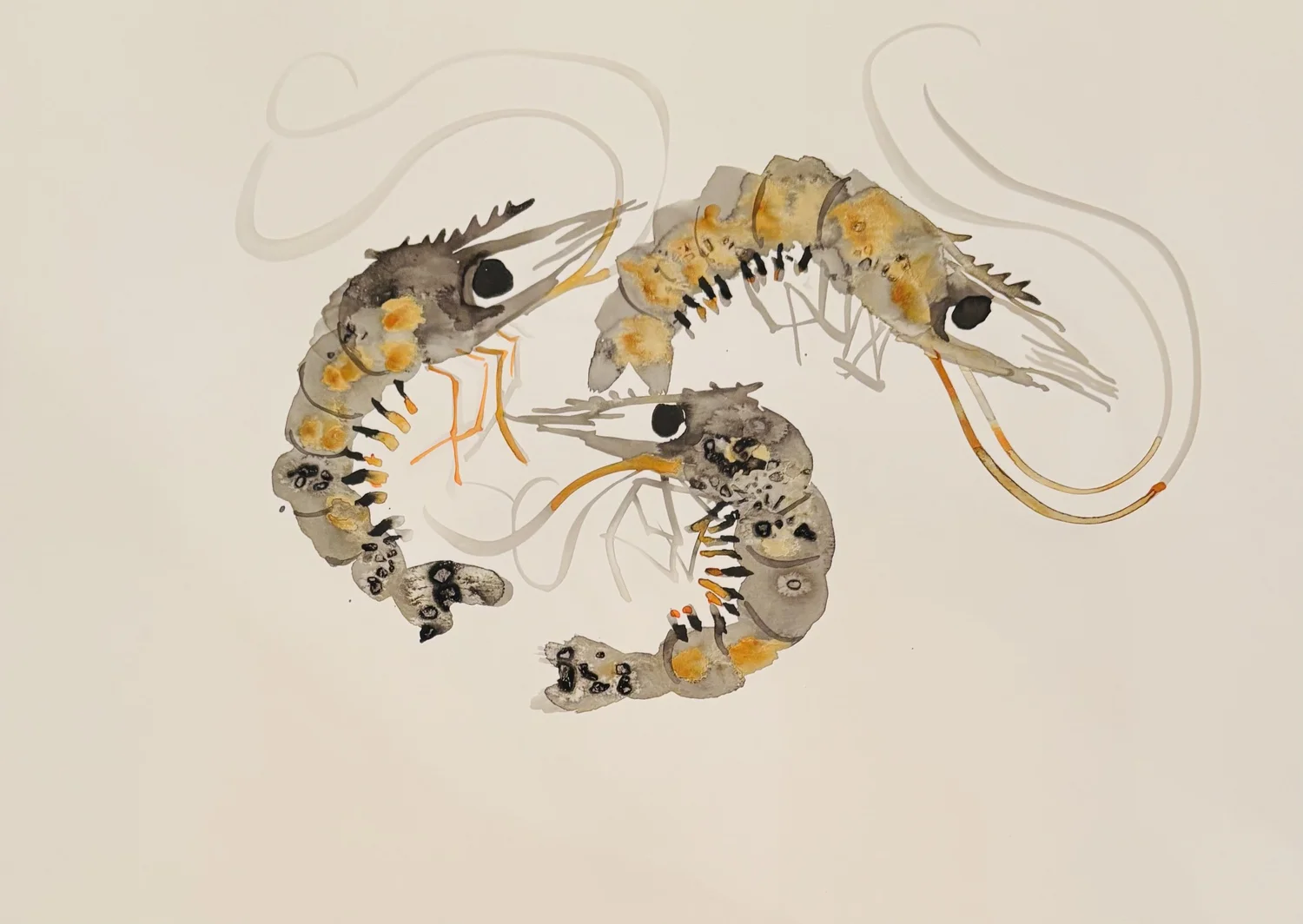 Buy Colette Clegg's Art — Colette Clegg Art