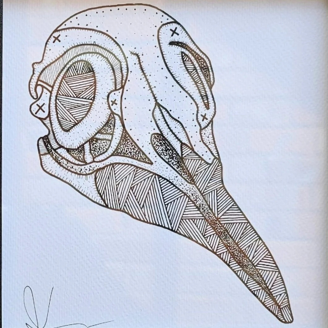 Galápagos Penguin - Skull Series II - Peter Viet-Lu — Seventh Circle ...