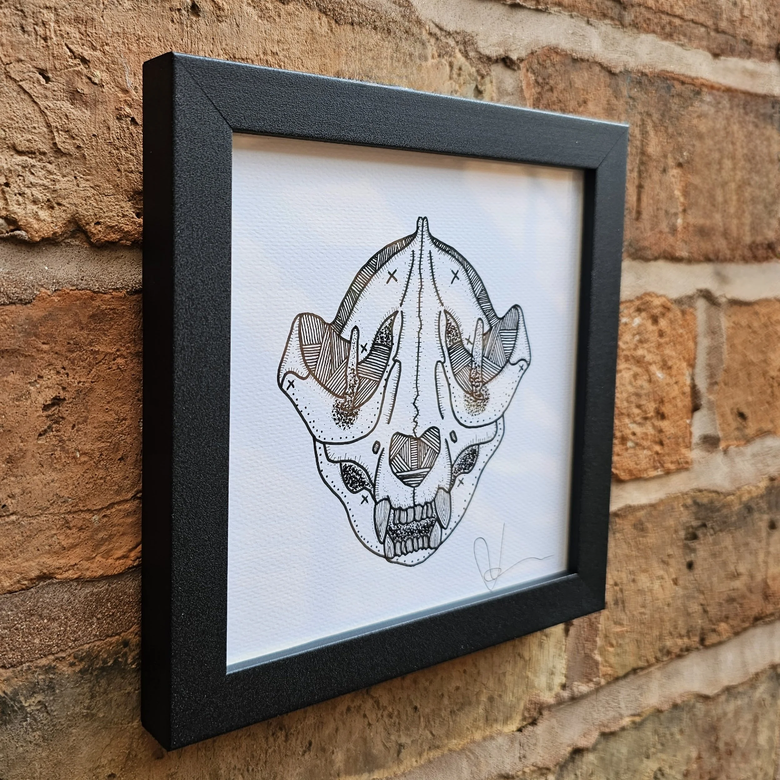Galápagos Penguin - Skull Series II - Peter Viet-Lu — Seventh Circle ...