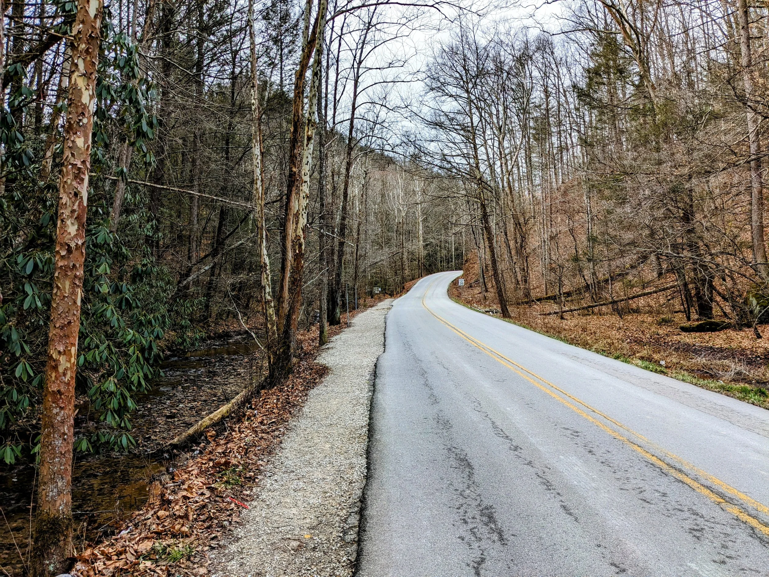 Martin’s Fork Short Loop and Overlooks — Kentucky Hiker Project