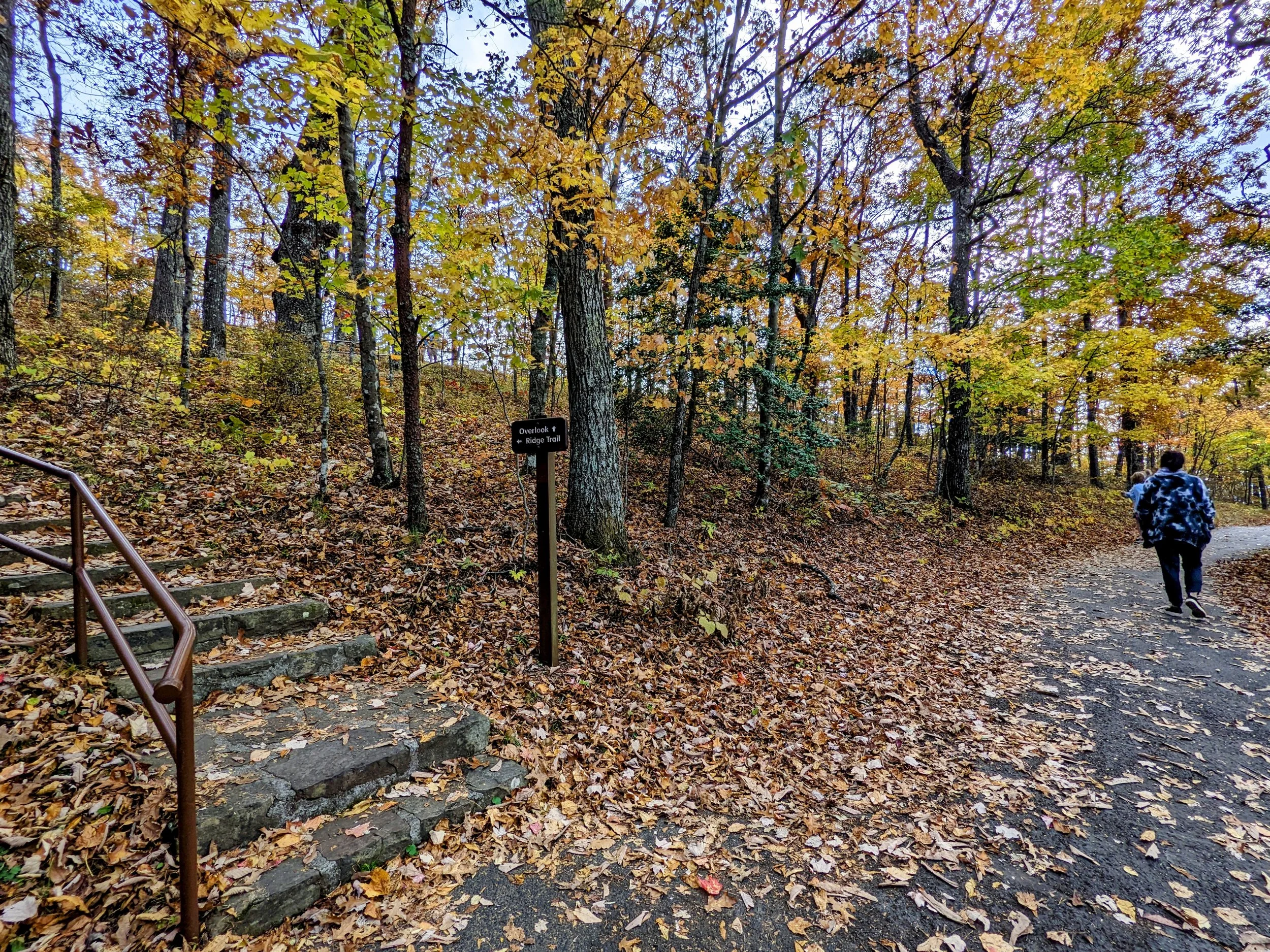 Fall at Pinnacle Overlook — Kentucky Hiker Project
