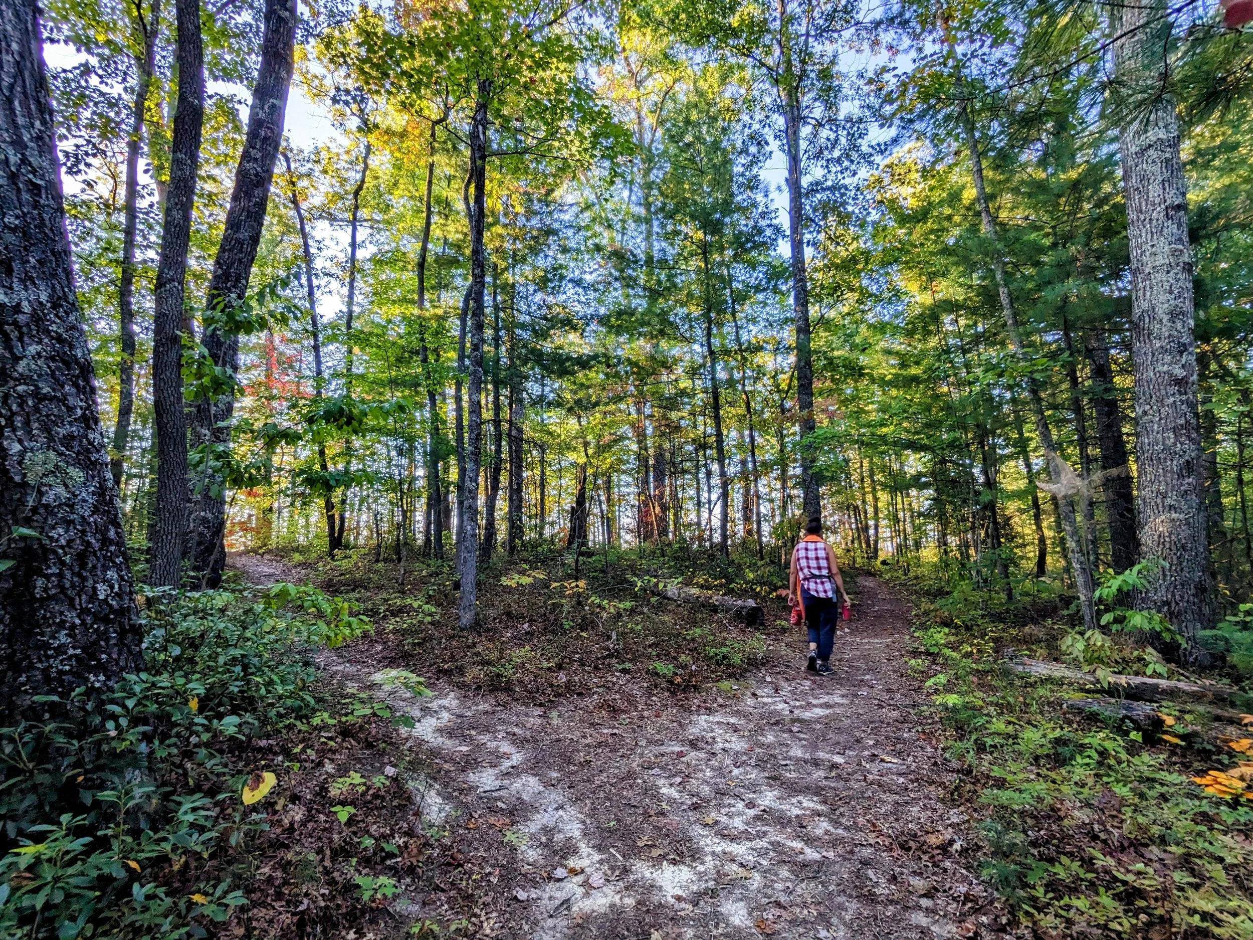 October Sunset at Buzzards Roost Central — Kentucky Hiker Project