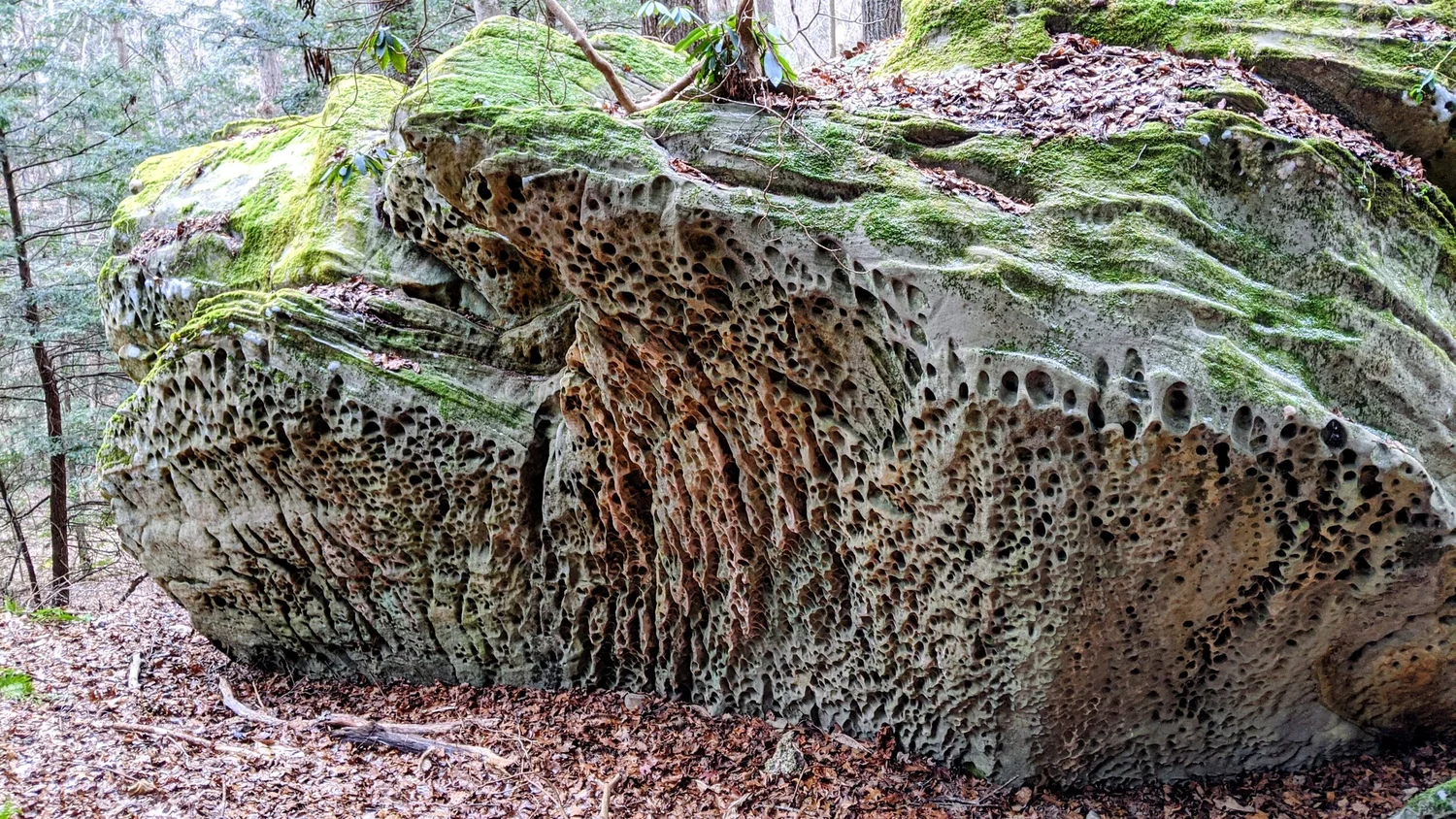 Box Canyon Loop at Carter Caves SRP — Kentucky Hiker Project