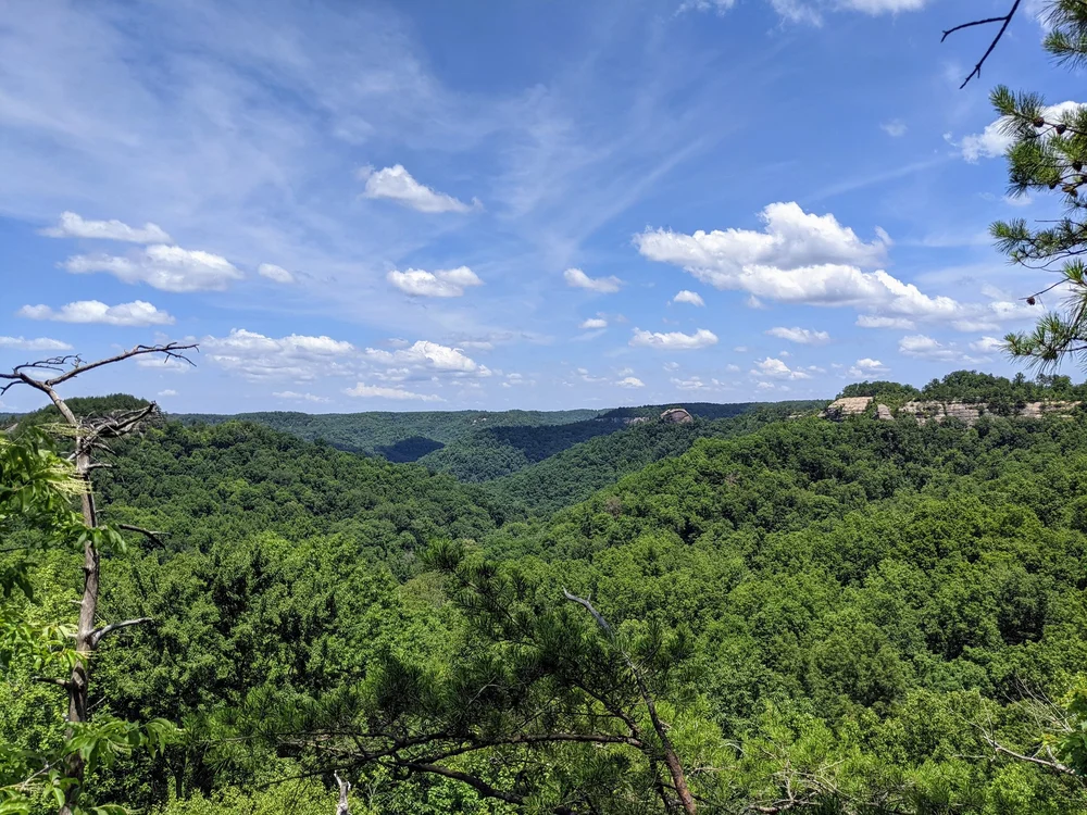 Auxier Ridge - Double Arch Loop and Spurs — Kentucky Hiker Project