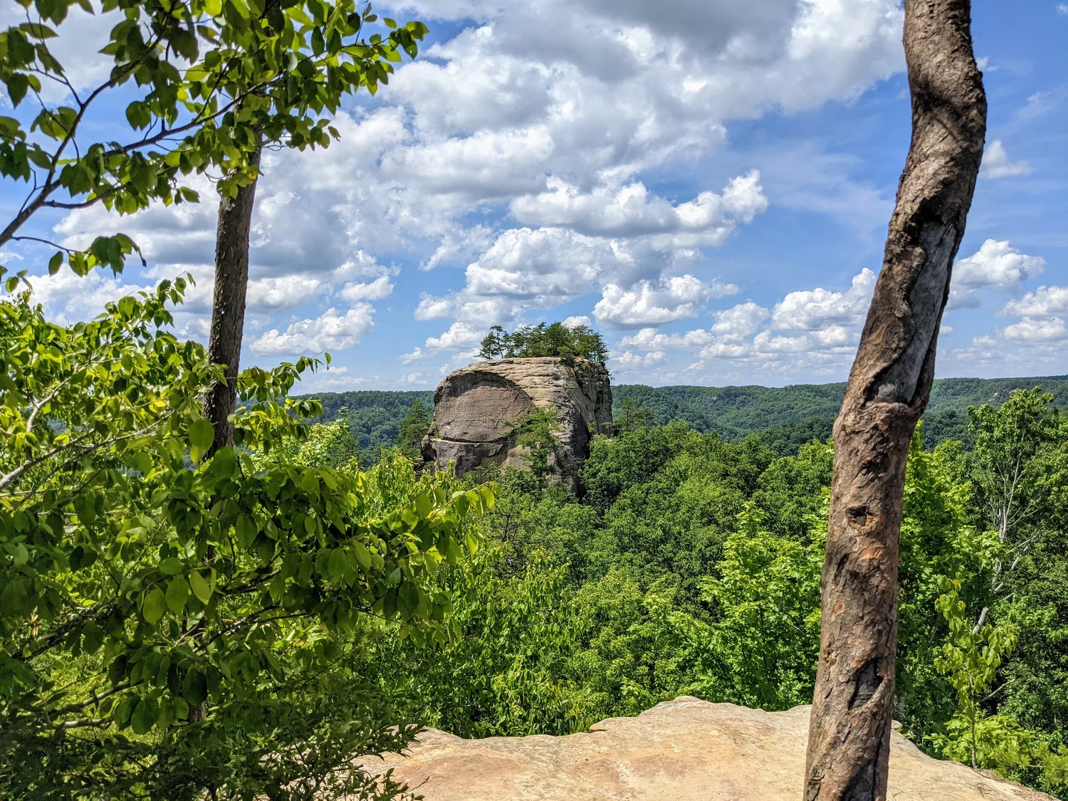 Auxier Ridge - Double Arch Loop and Spurs — Kentucky Hiker Project
