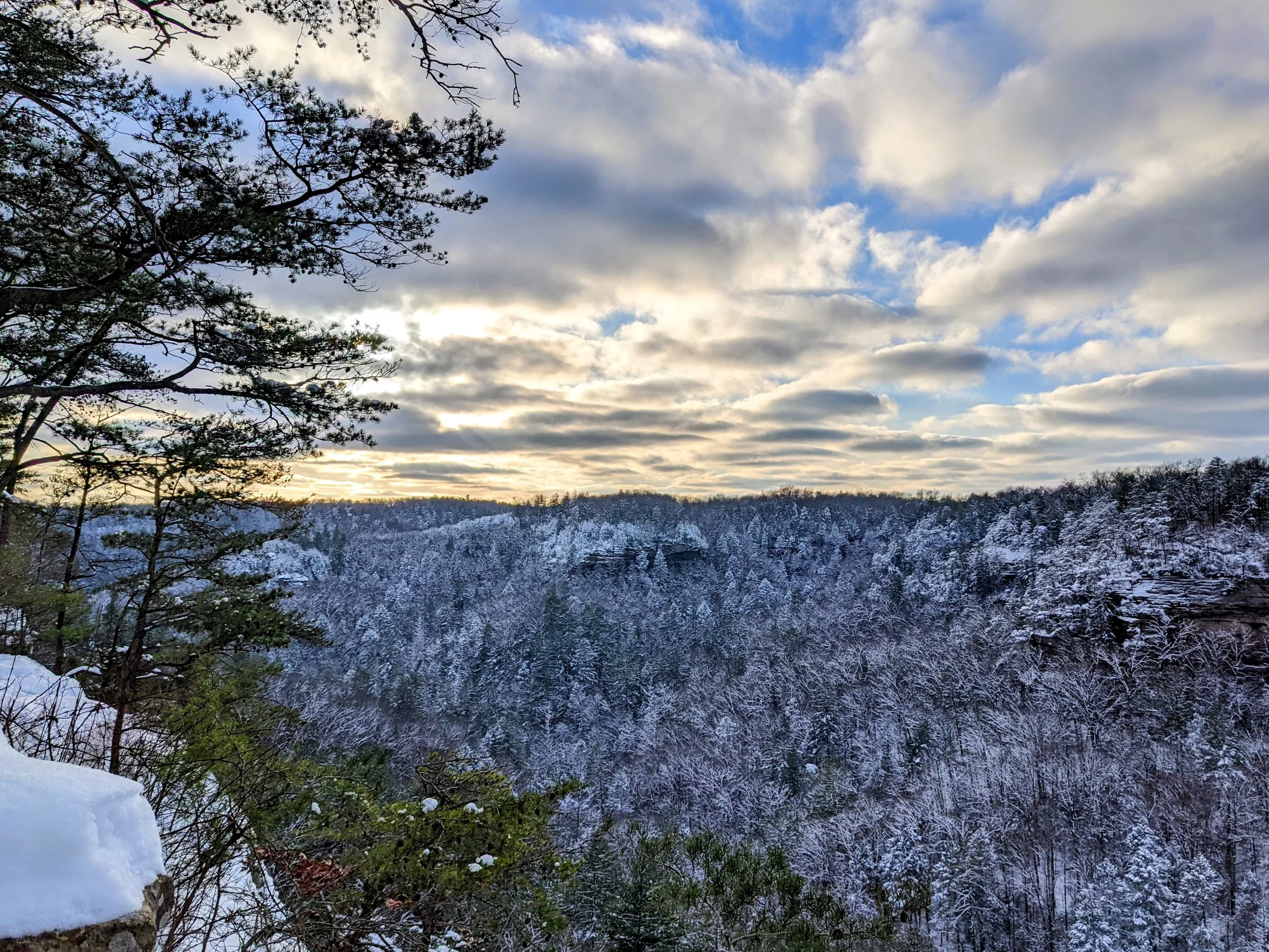 Hikes — Kentucky Hiker Project