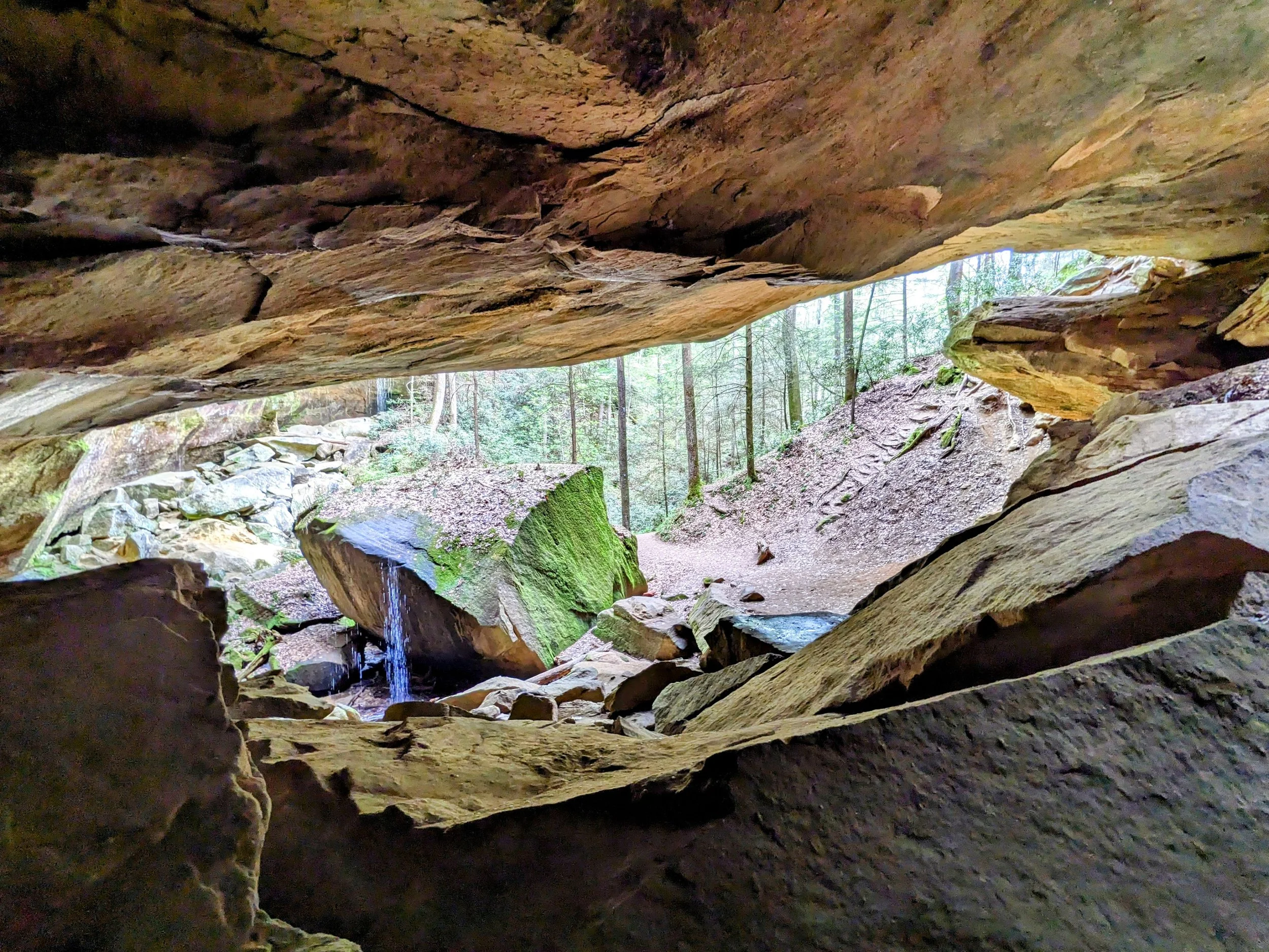 Whittleton Arch Out and Back from Pinch 'em Tight Trailhead — Kentucky ...