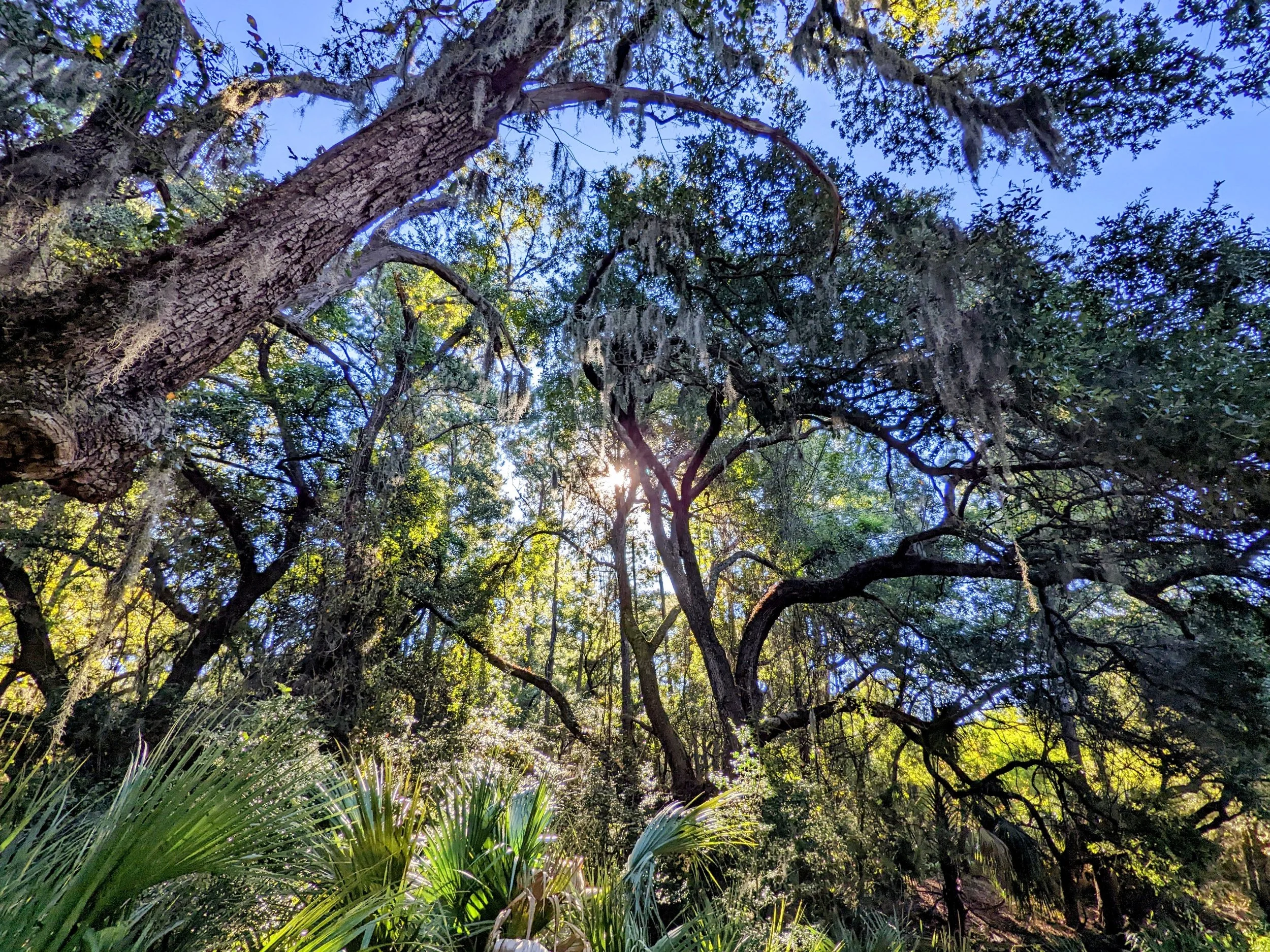 Elsewhere — Kentucky Hiker Project