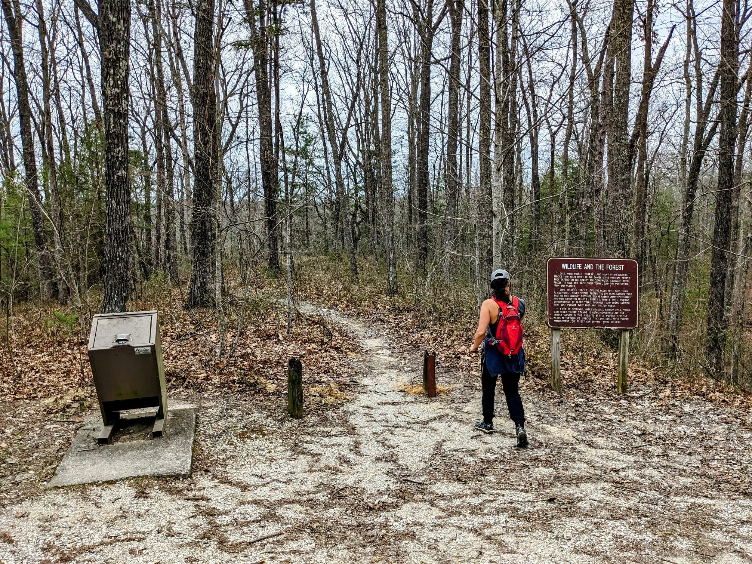 Pachyderm Arch Out and Back — Kentucky Hiker Project