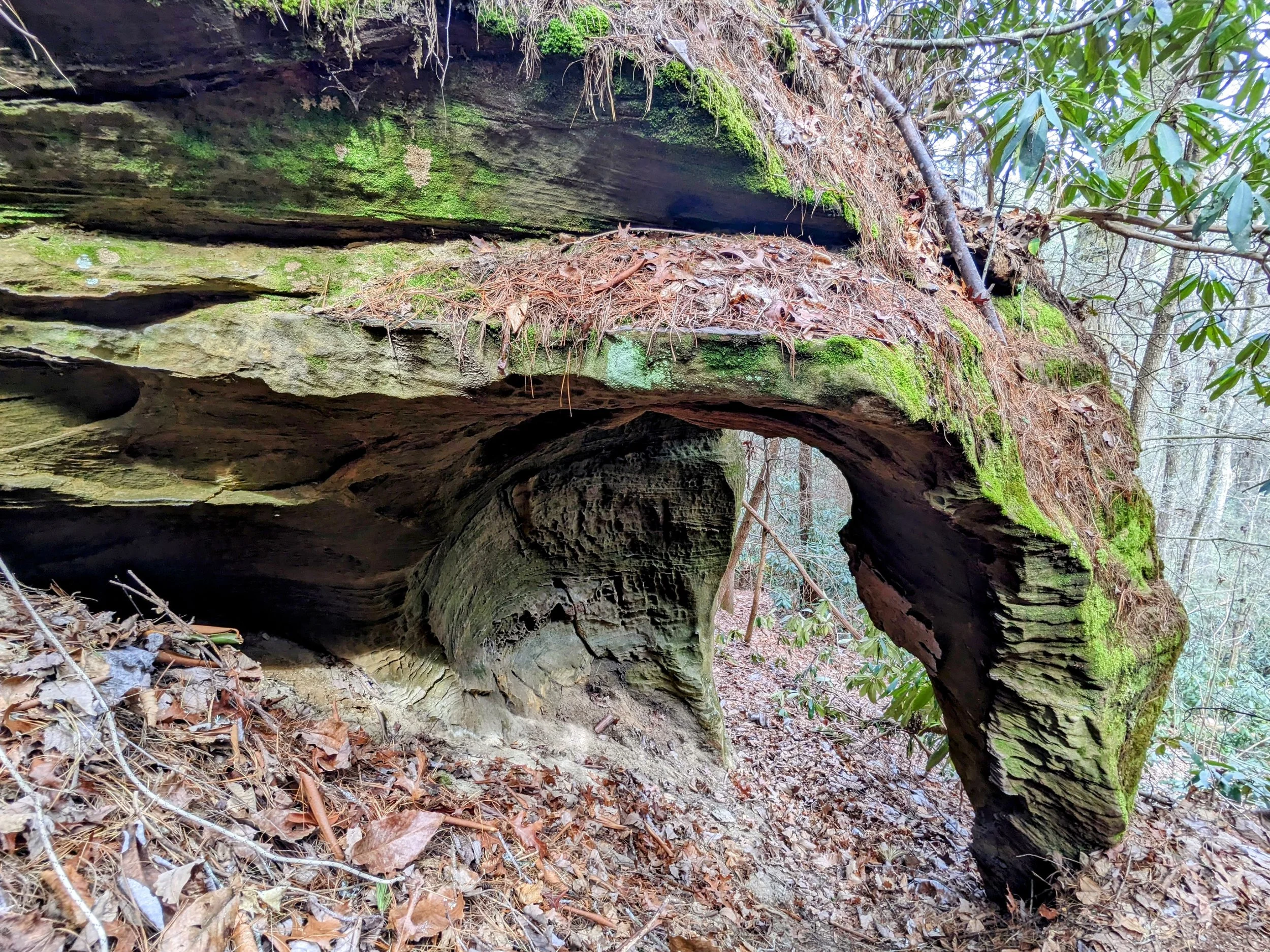 Pachyderm Arch Out and Back — Kentucky Hiker Project
