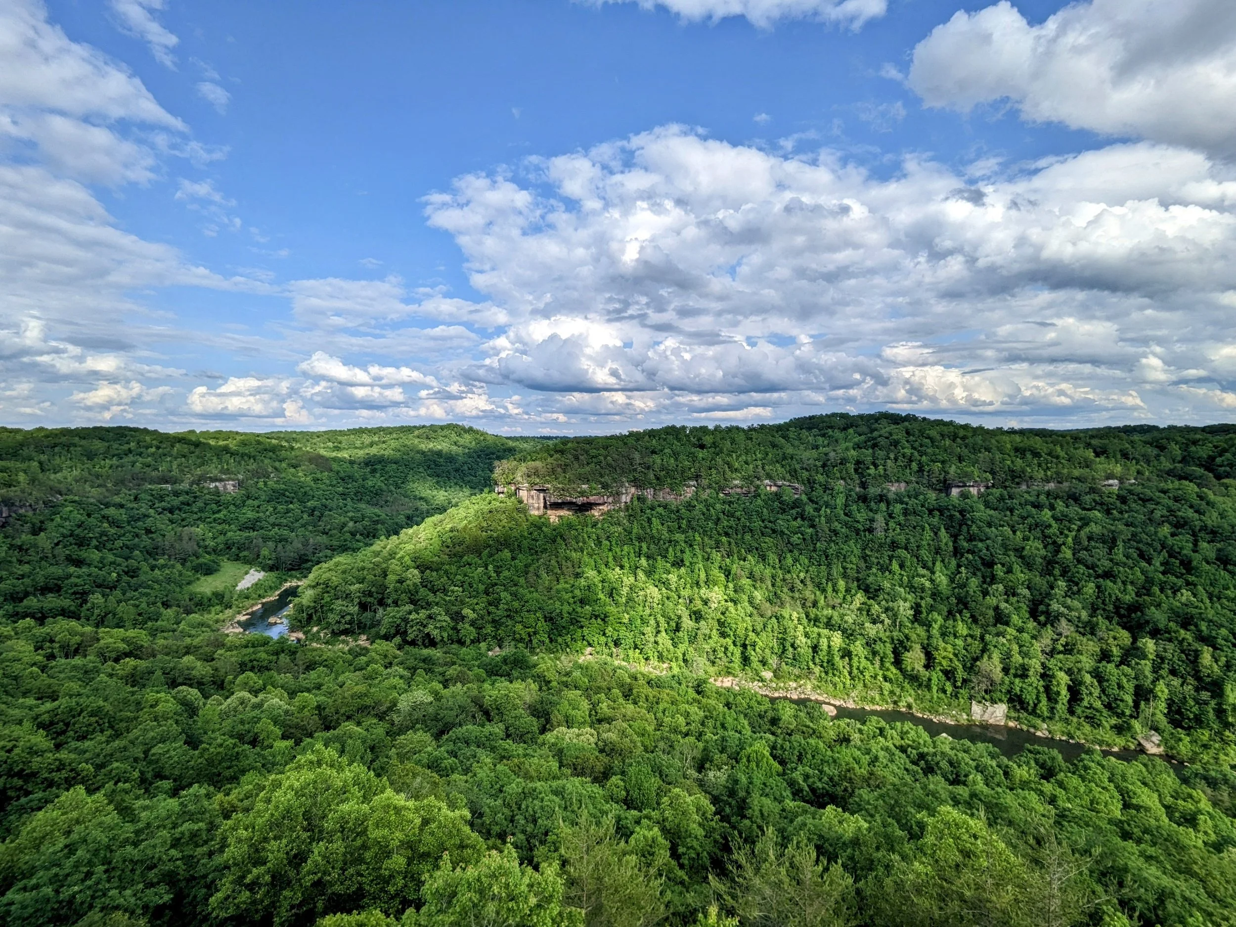 Hikes — Kentucky Hiker Project