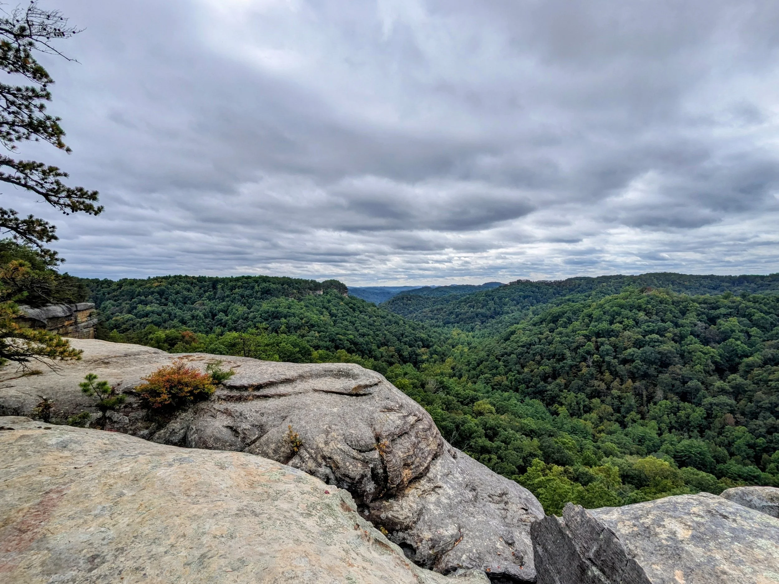 Hikes — Kentucky Hiker Project