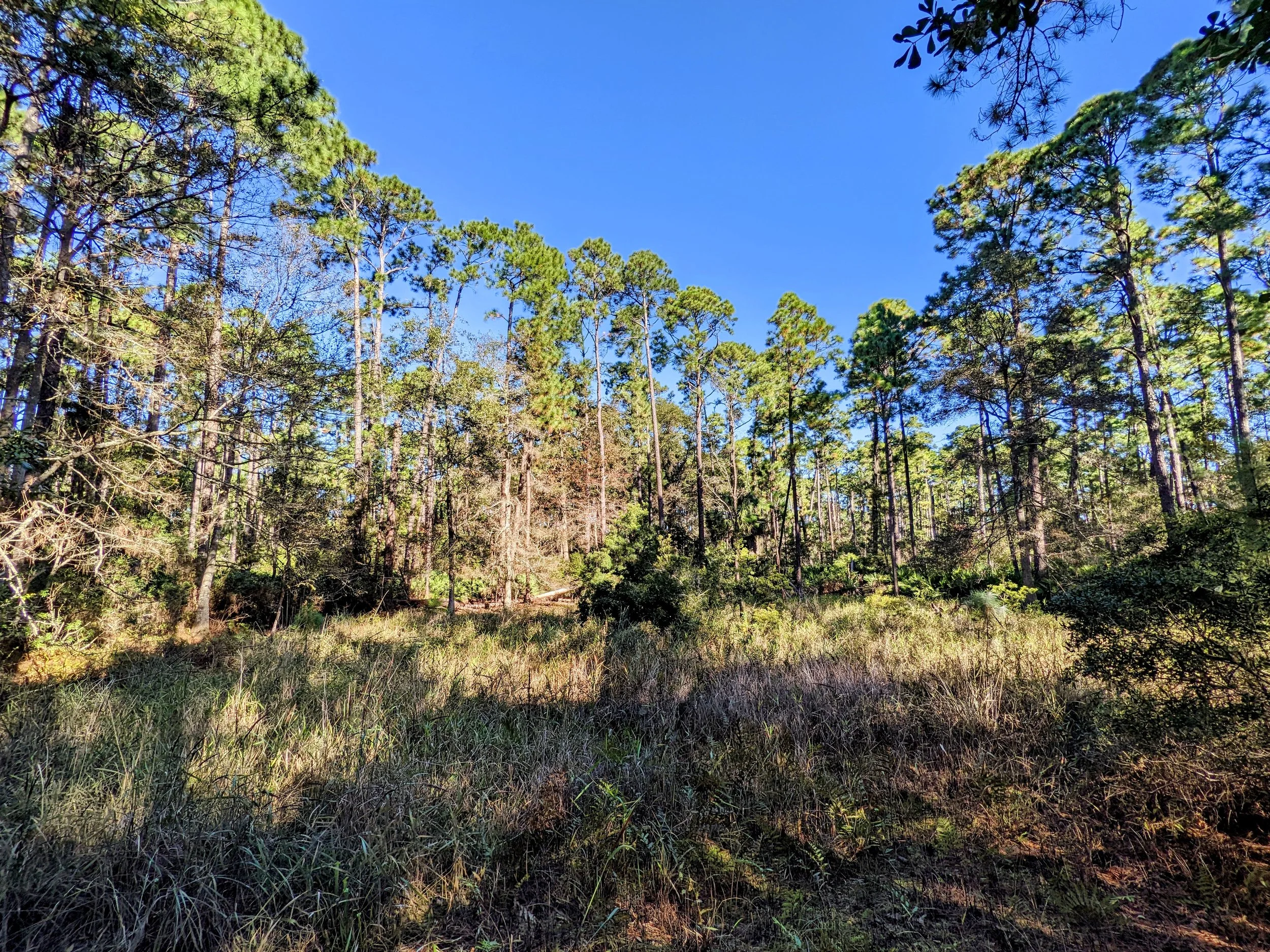 Audubon Newhall Preserve — Kentucky Hiker Project