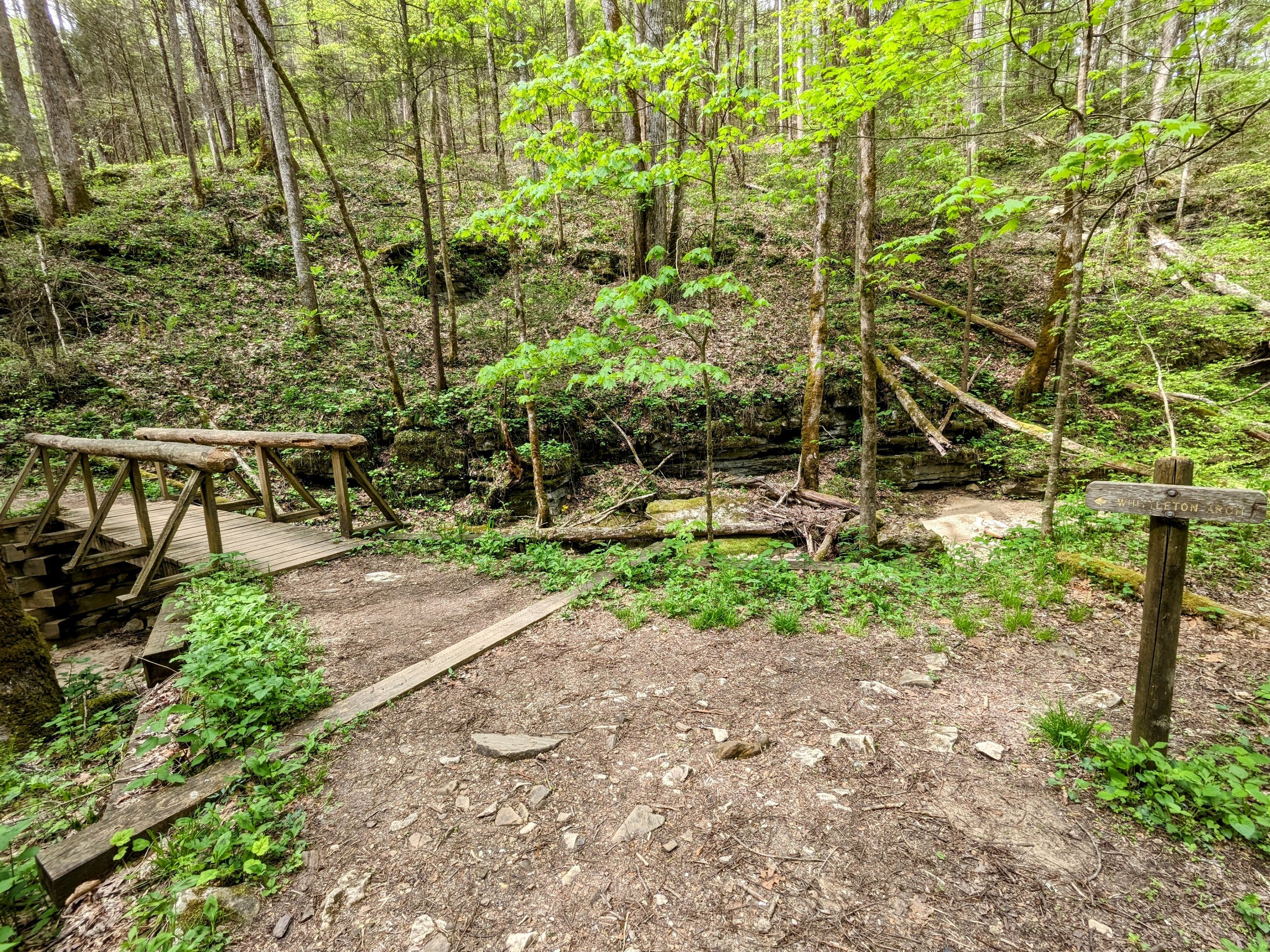 Whittleton Arch Out and Back from Pinch 'em Tight Trailhead — Kentucky ...