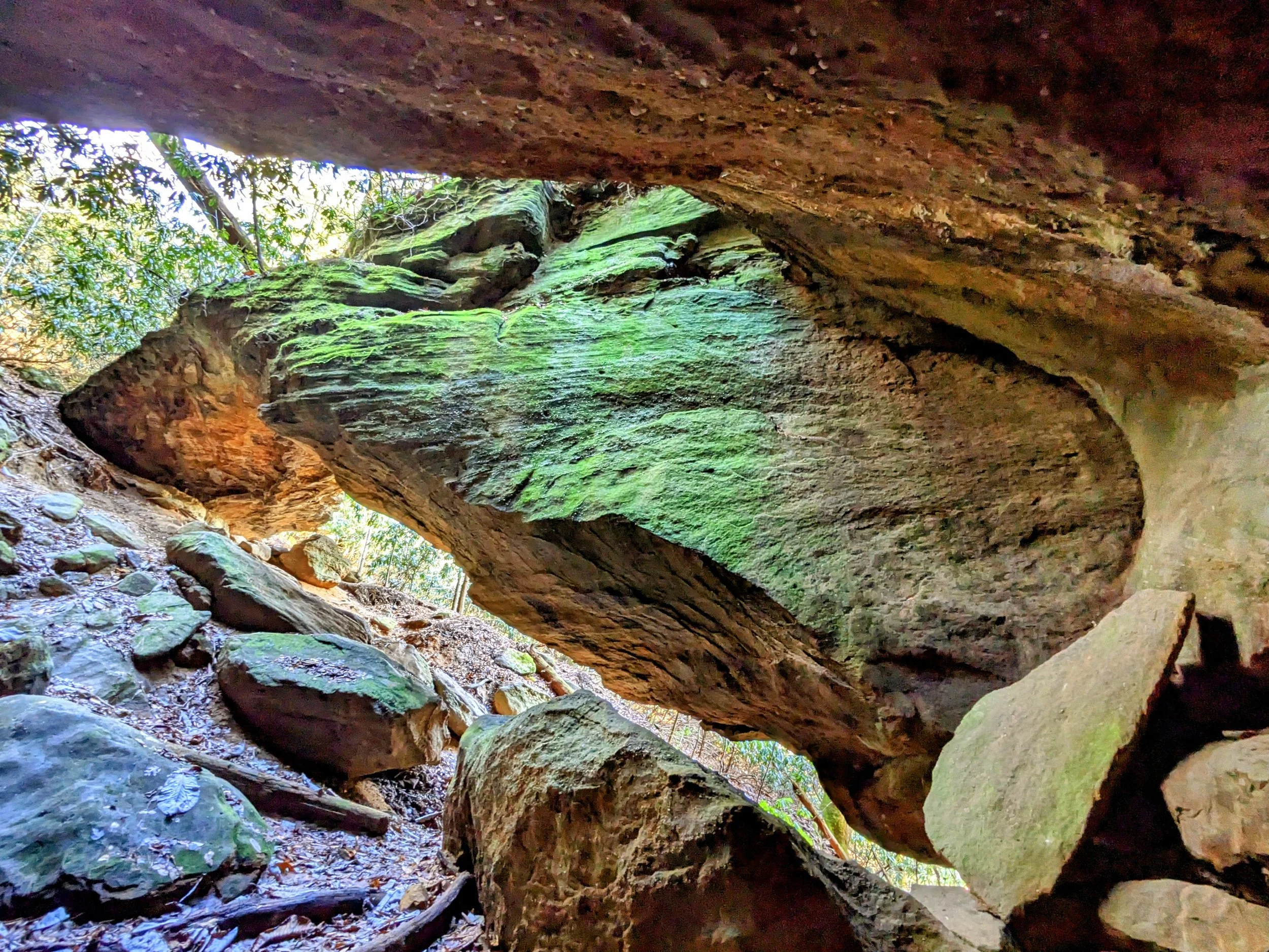 Koomer Ridge Campground Loop — Kentucky Hiker Project