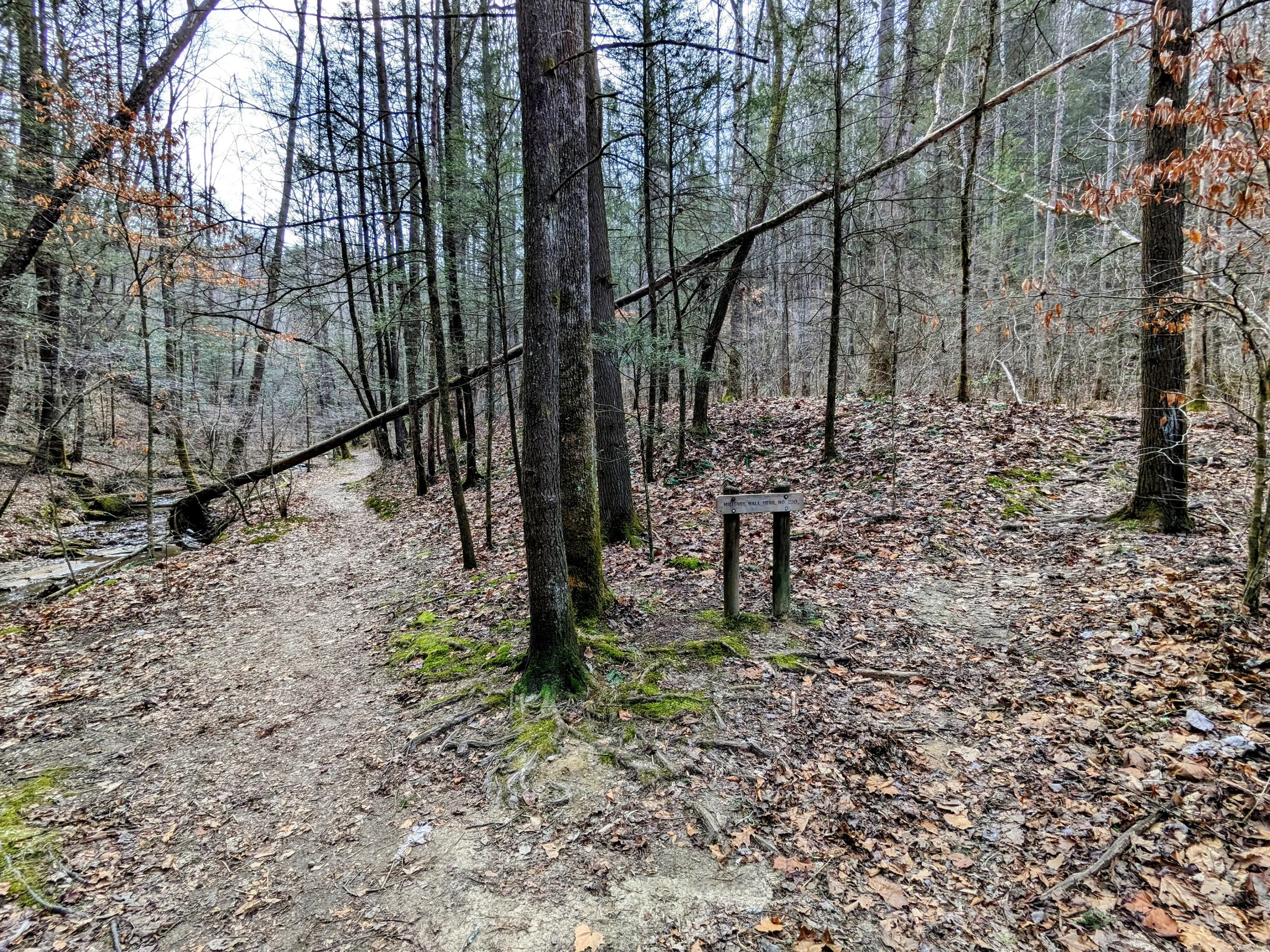 Martin’s Fork Short Loop and Overlooks — Kentucky Hiker Project