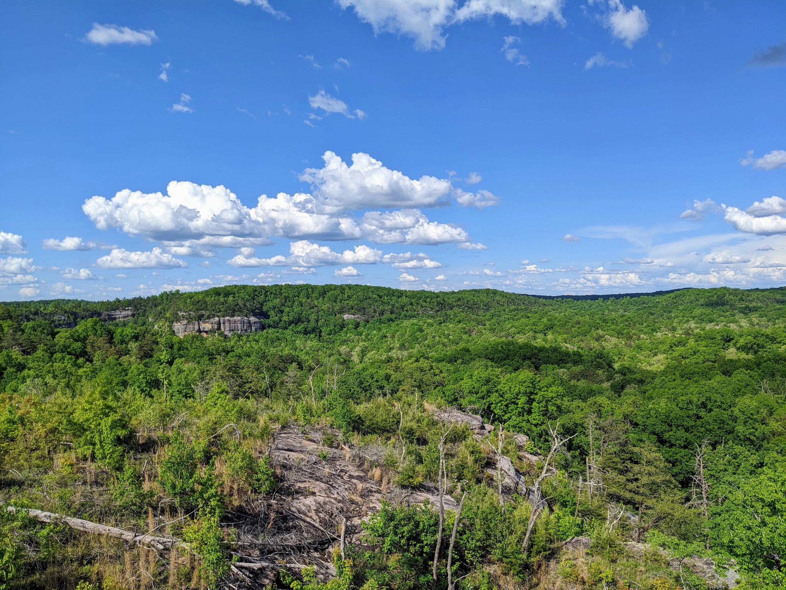 Natural Arch Loop — Kentucky Hiker Project