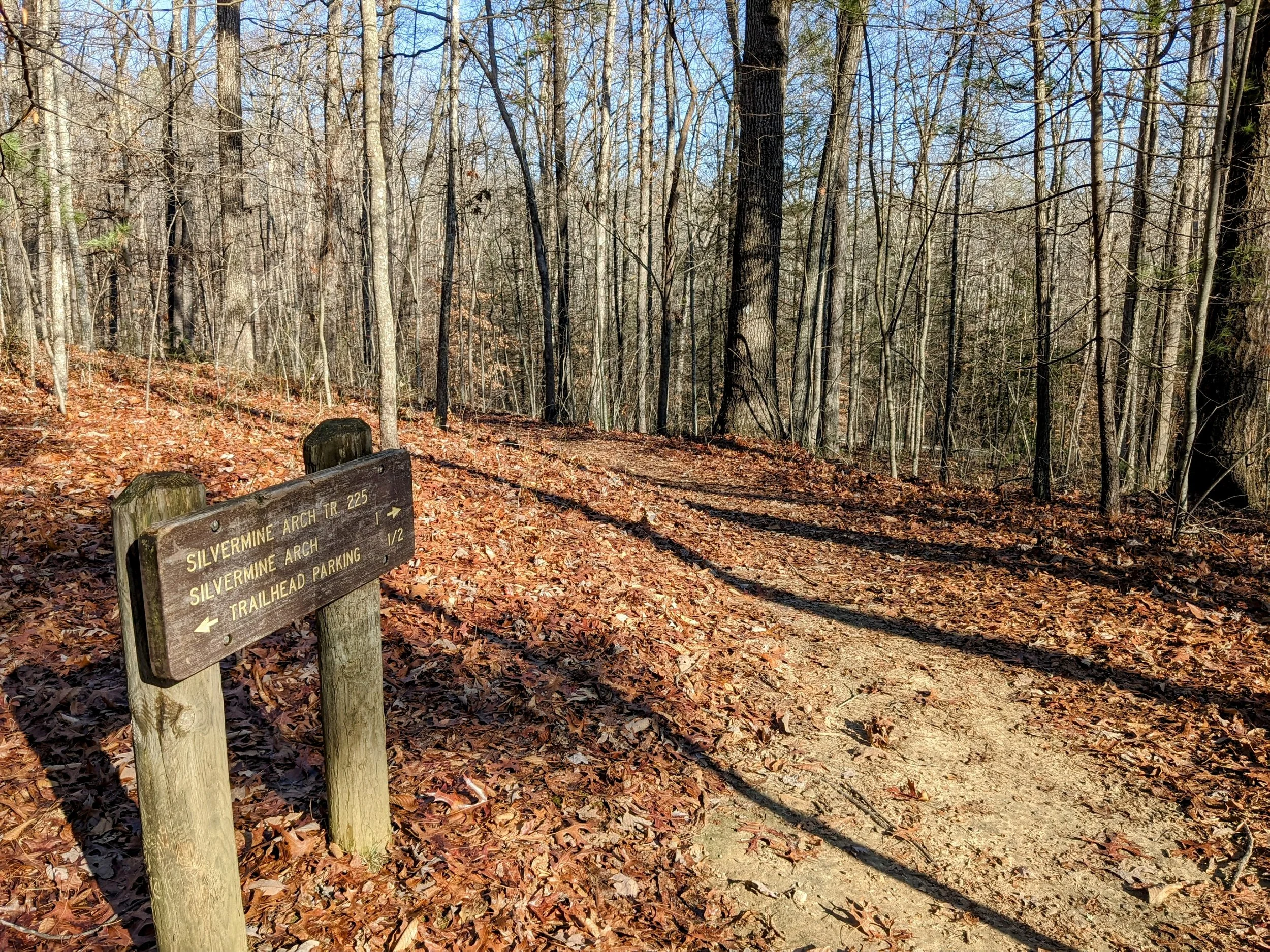 Koomer Ridge Campground Loop — Kentucky Hiker Project