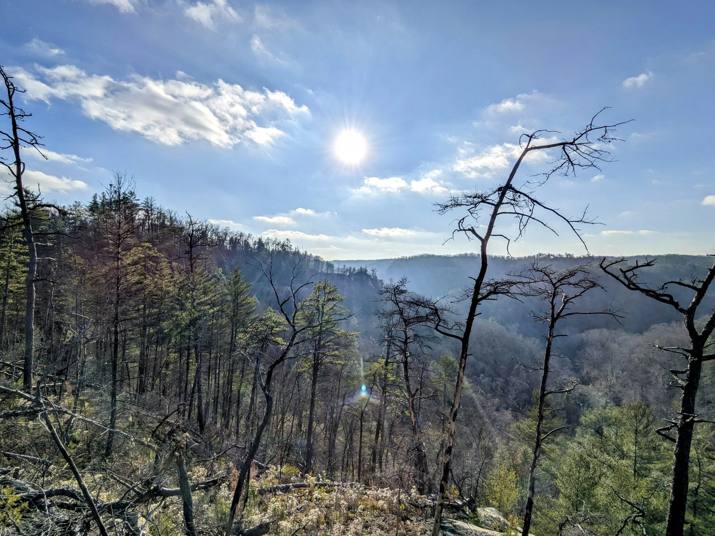 Buzzards Roost North, Central, and South — Kentucky Hiker Project
