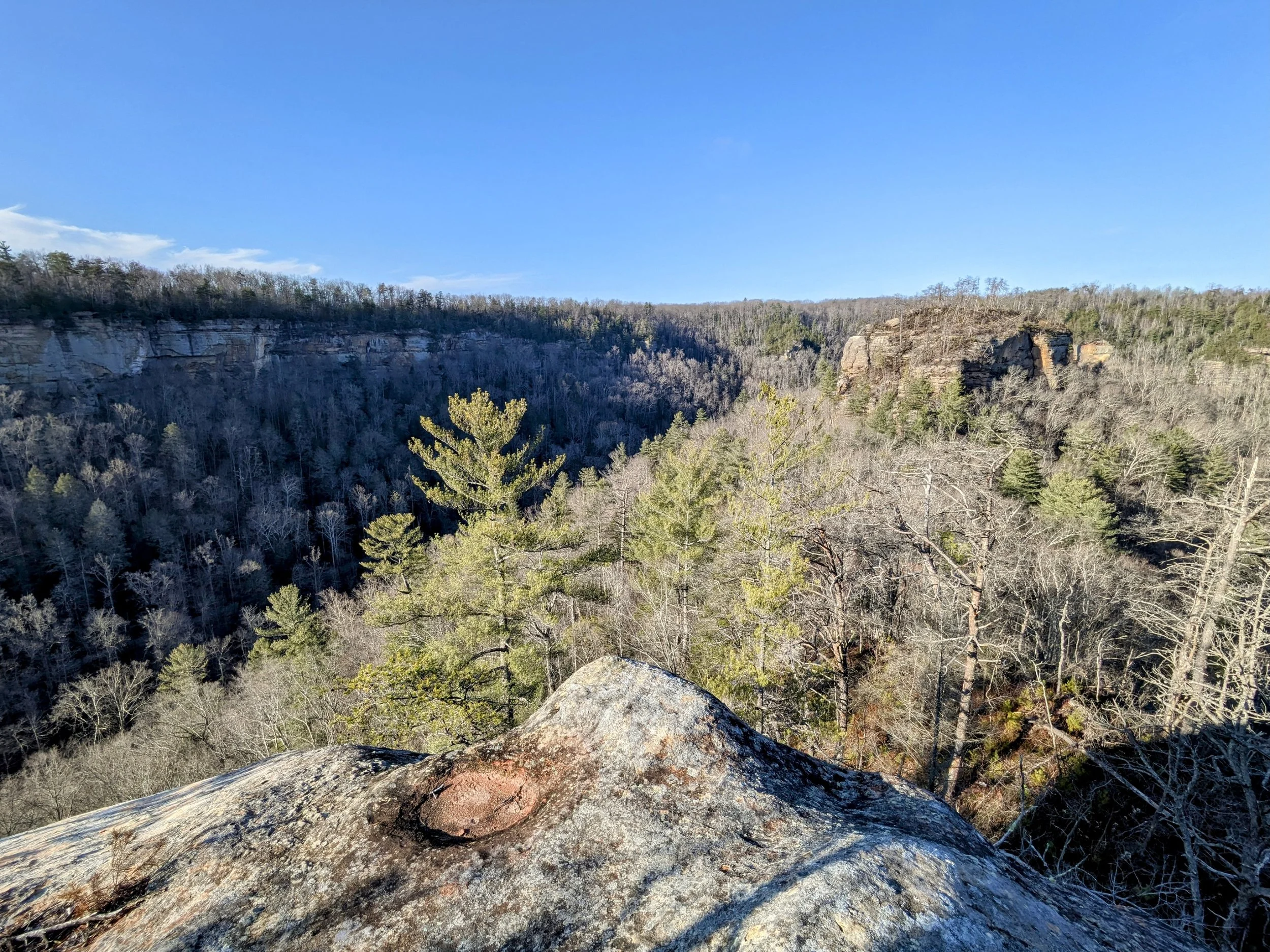 Buzzards Roost North, Central, and South — Kentucky Hiker Project