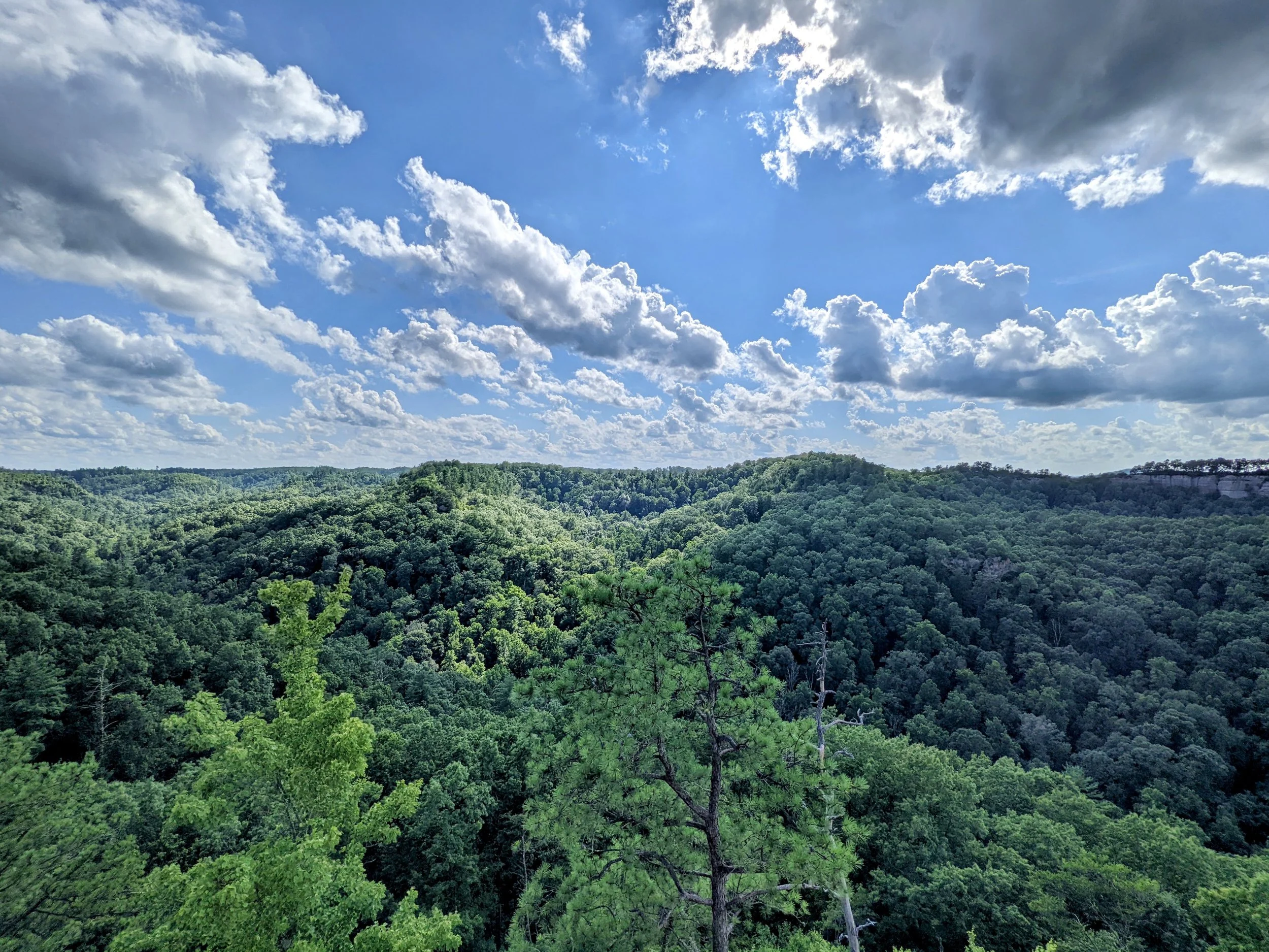 Raven Rock — Kentucky Hiker Project