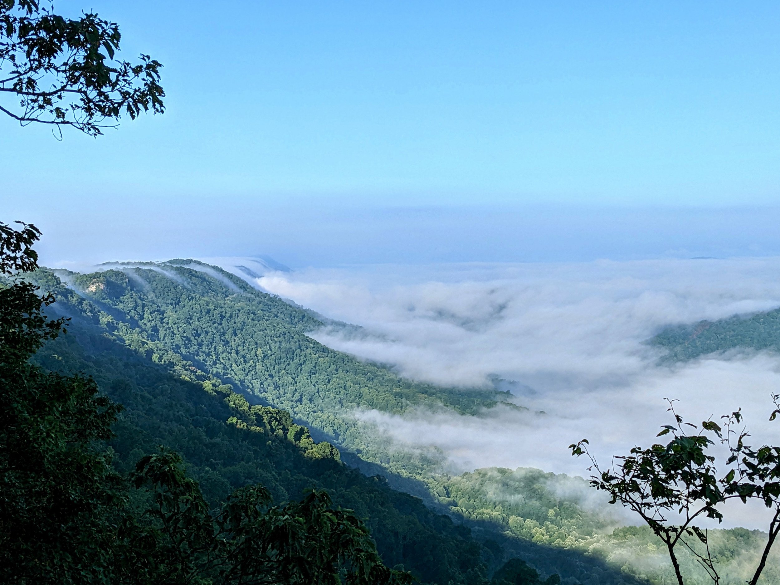 Lone Tree to Pitch Ridge Overlooks Loop on Little Shepherd Trail ...