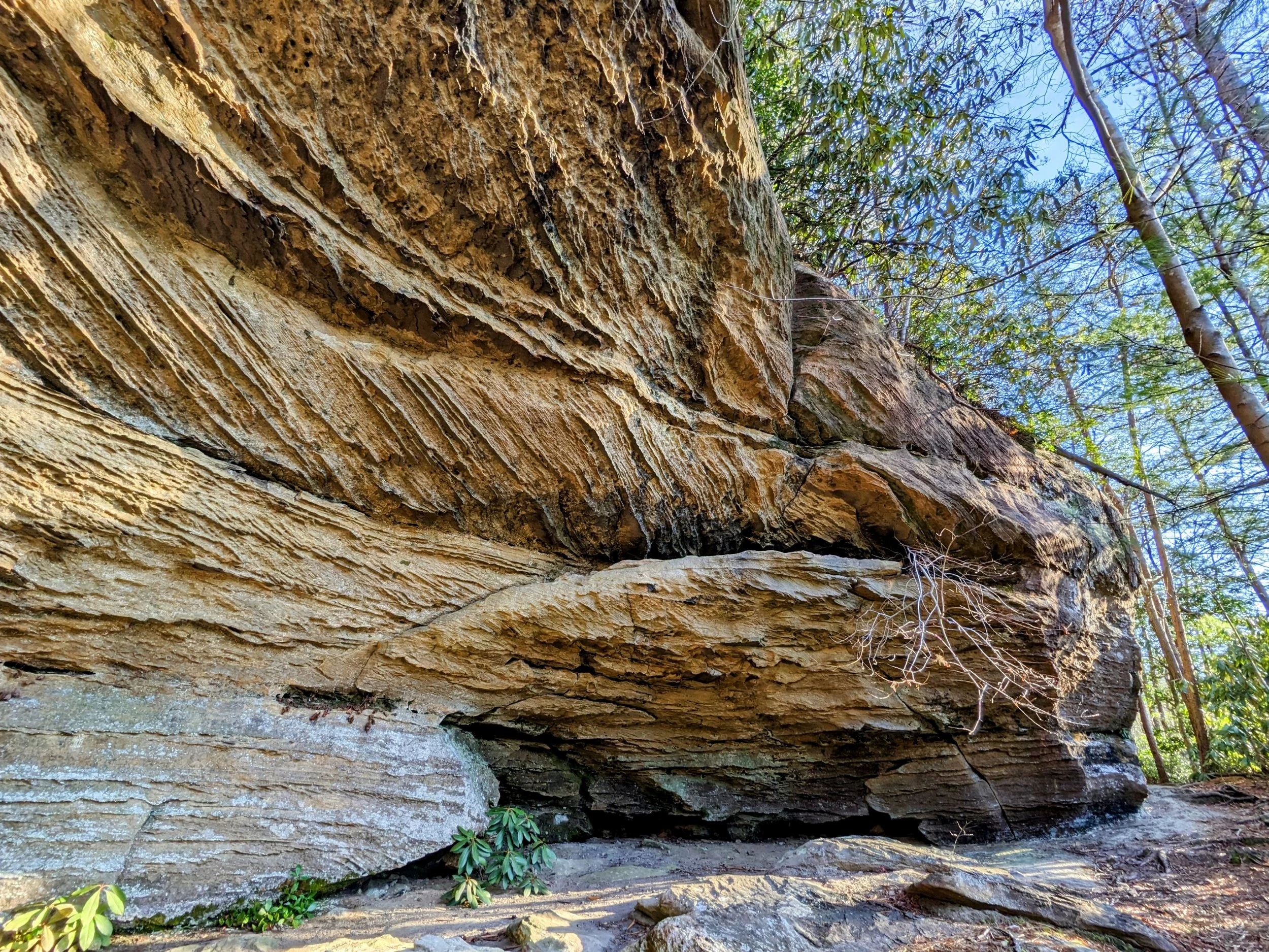 Buzzards Roost North, Central, and South — Kentucky Hiker Project