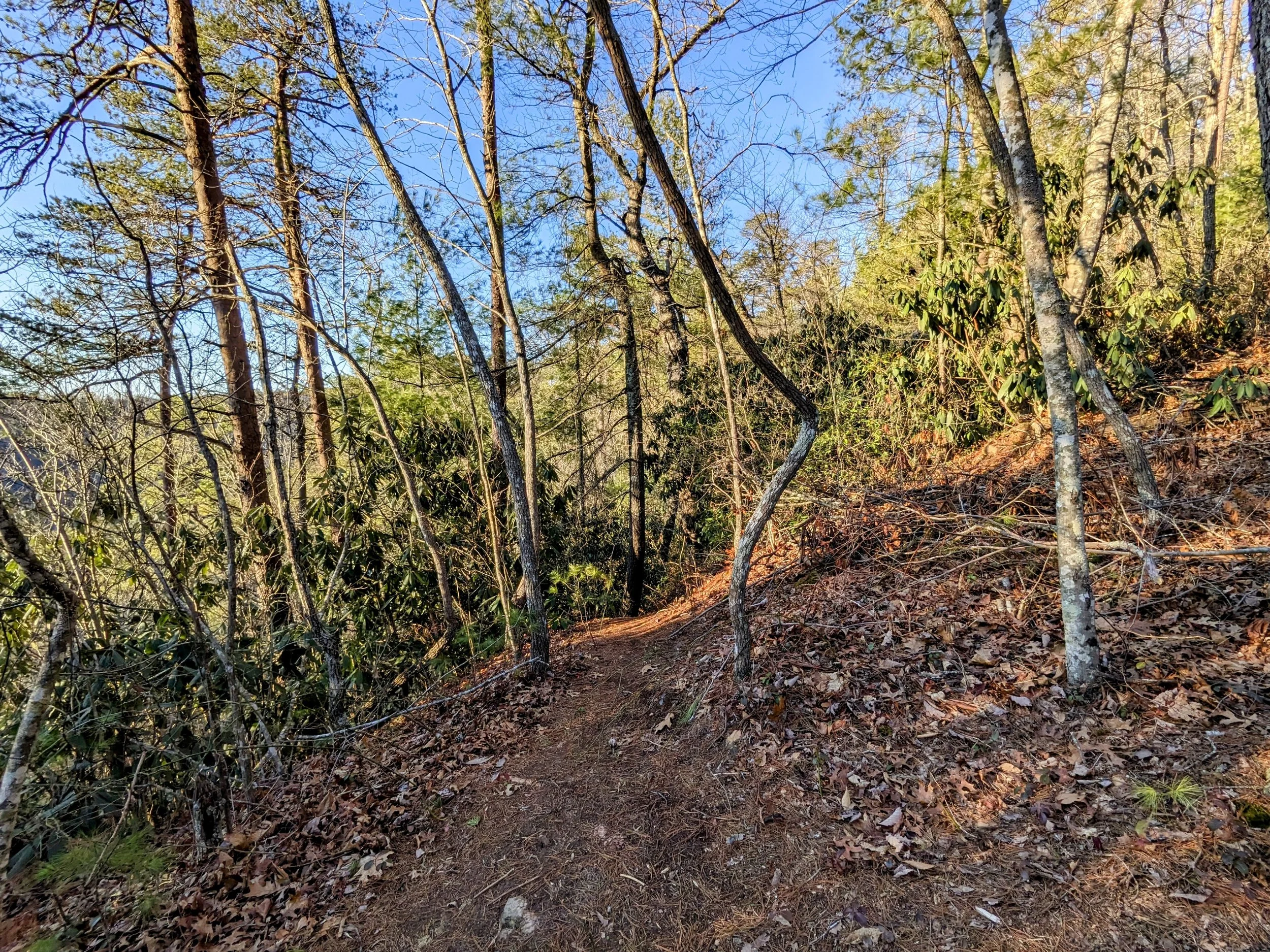 Rango Arch Out and Back — Kentucky Hiker Project
