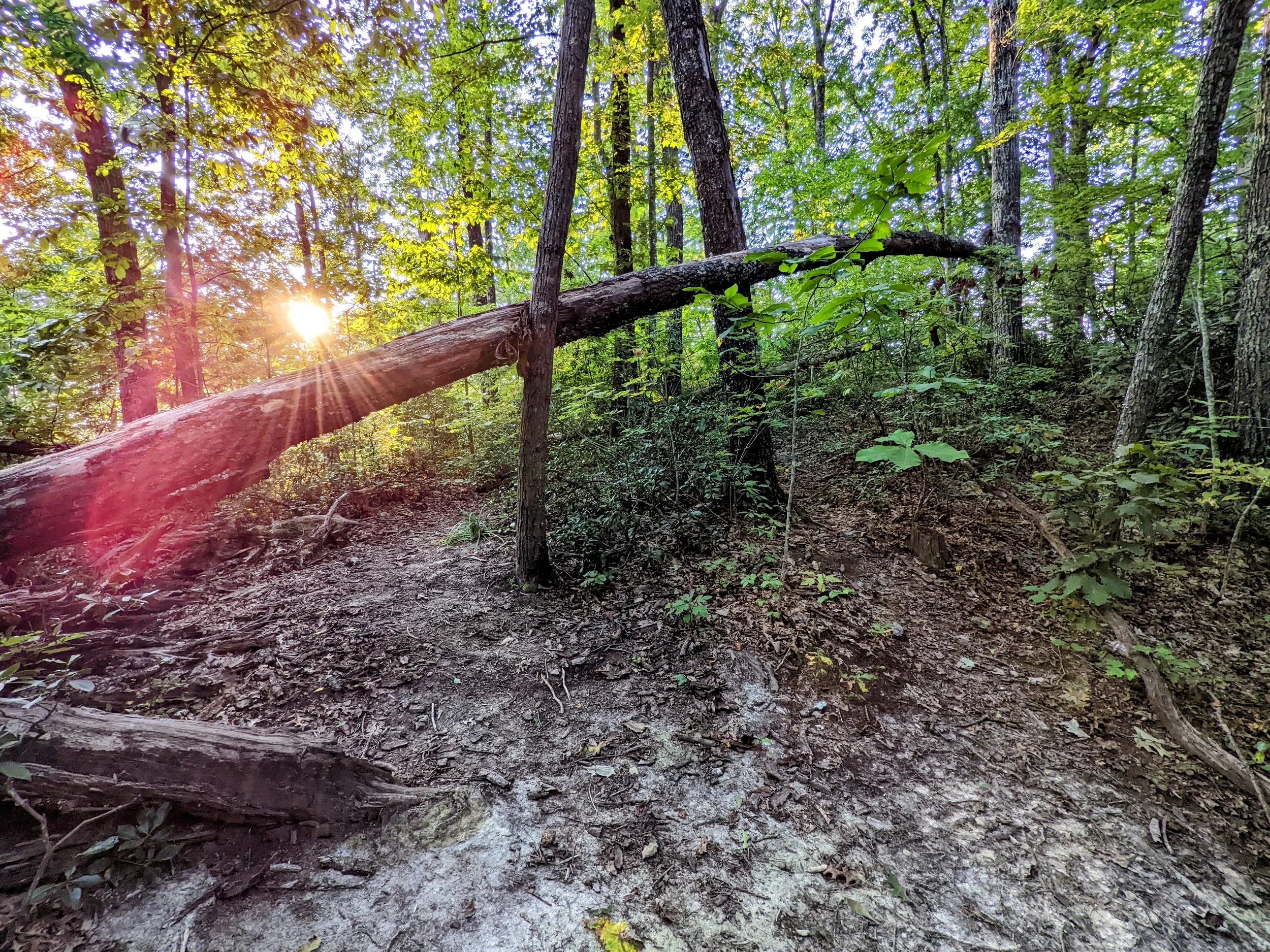 Sunset at Military Wall Overlook — Kentucky Hiker Project