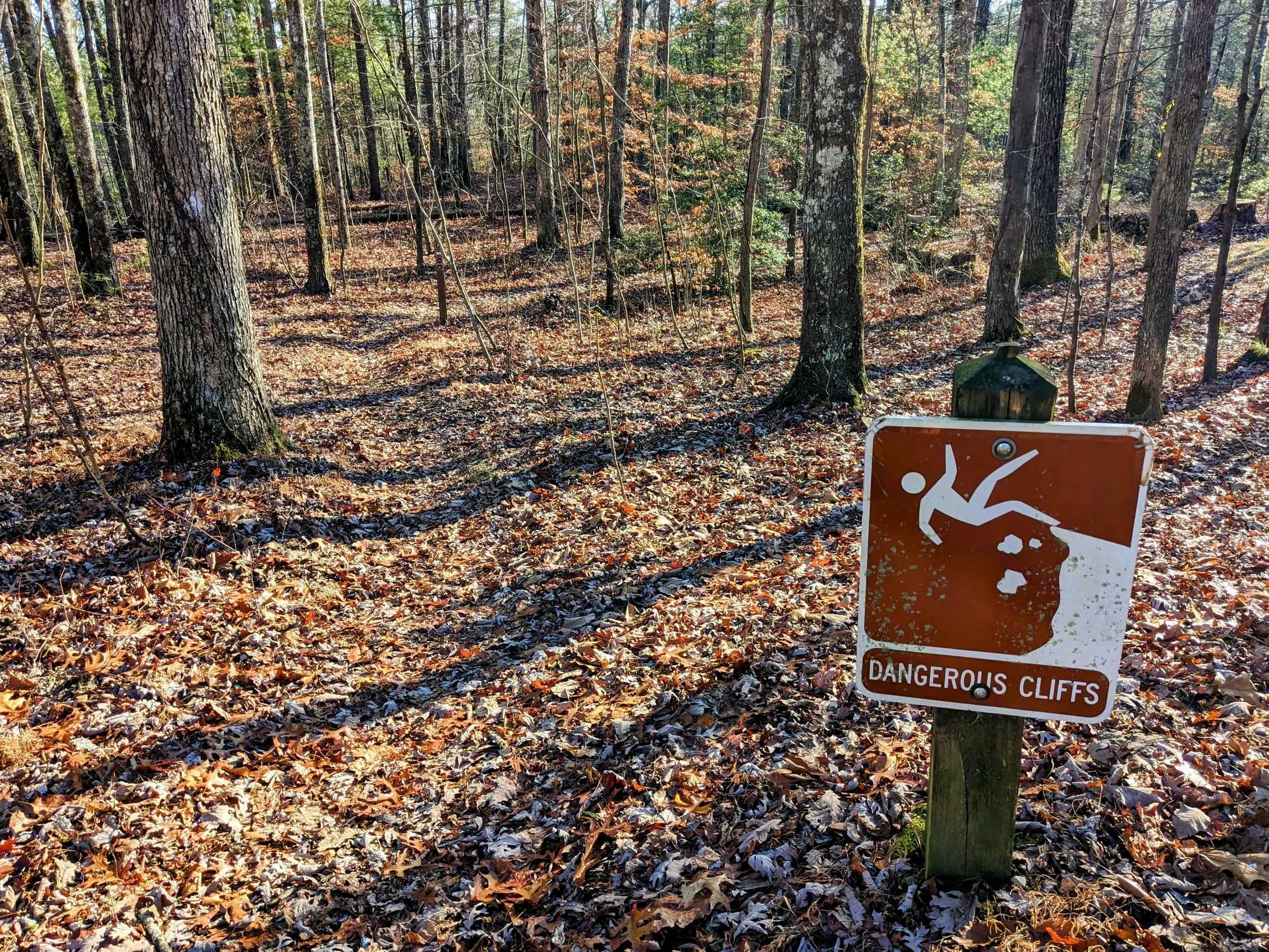 Koomer Ridge Campground Loop — Kentucky Hiker Project