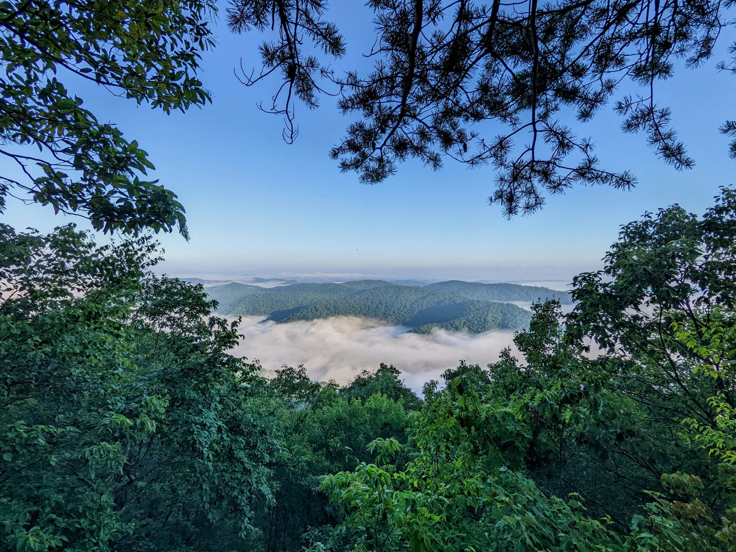Lone Tree to Pitch Ridge Overlooks Loop on Little Shepherd Trail ...