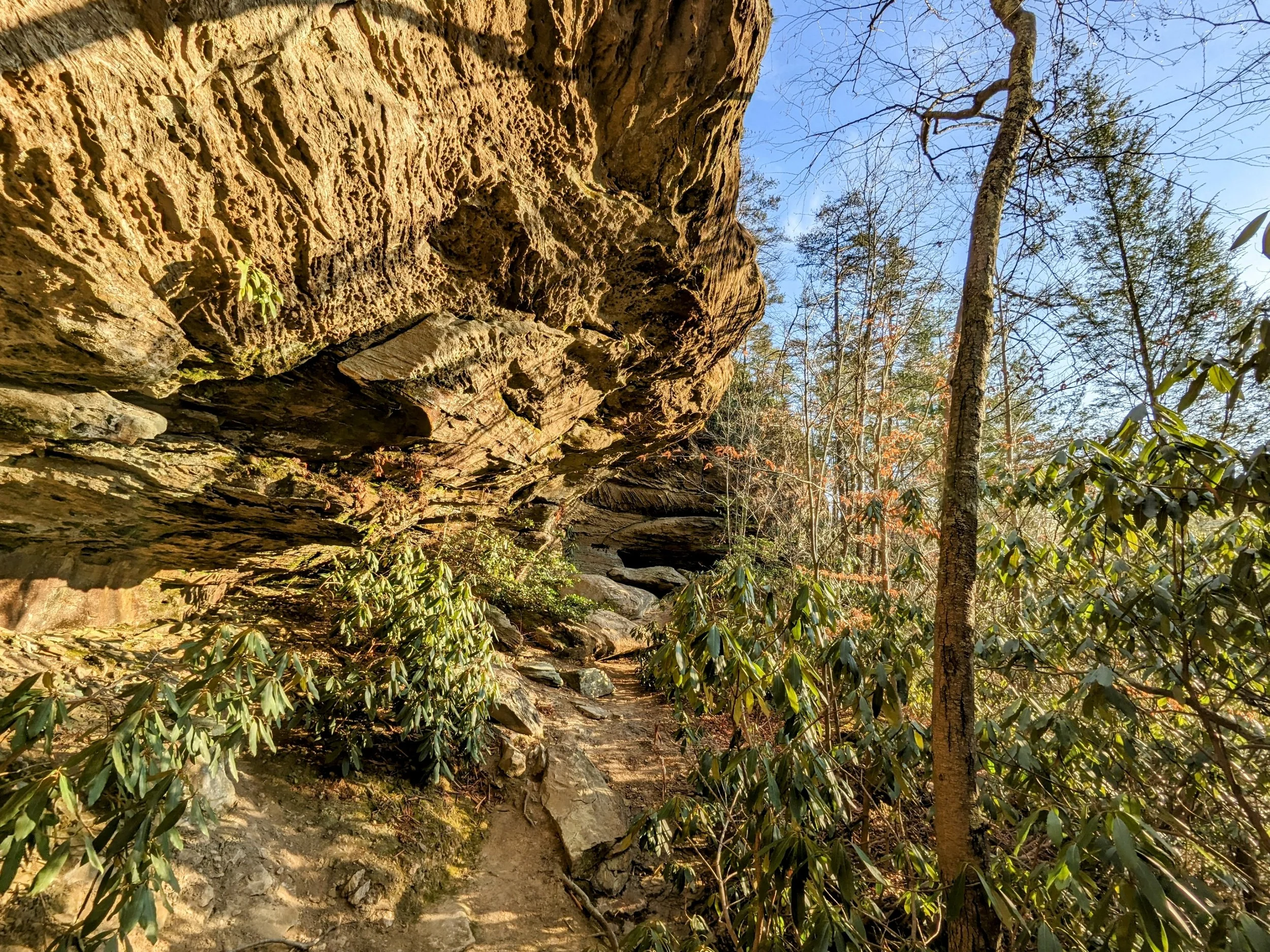 Buzzards Roost North, Central, and South — Kentucky Hiker Project