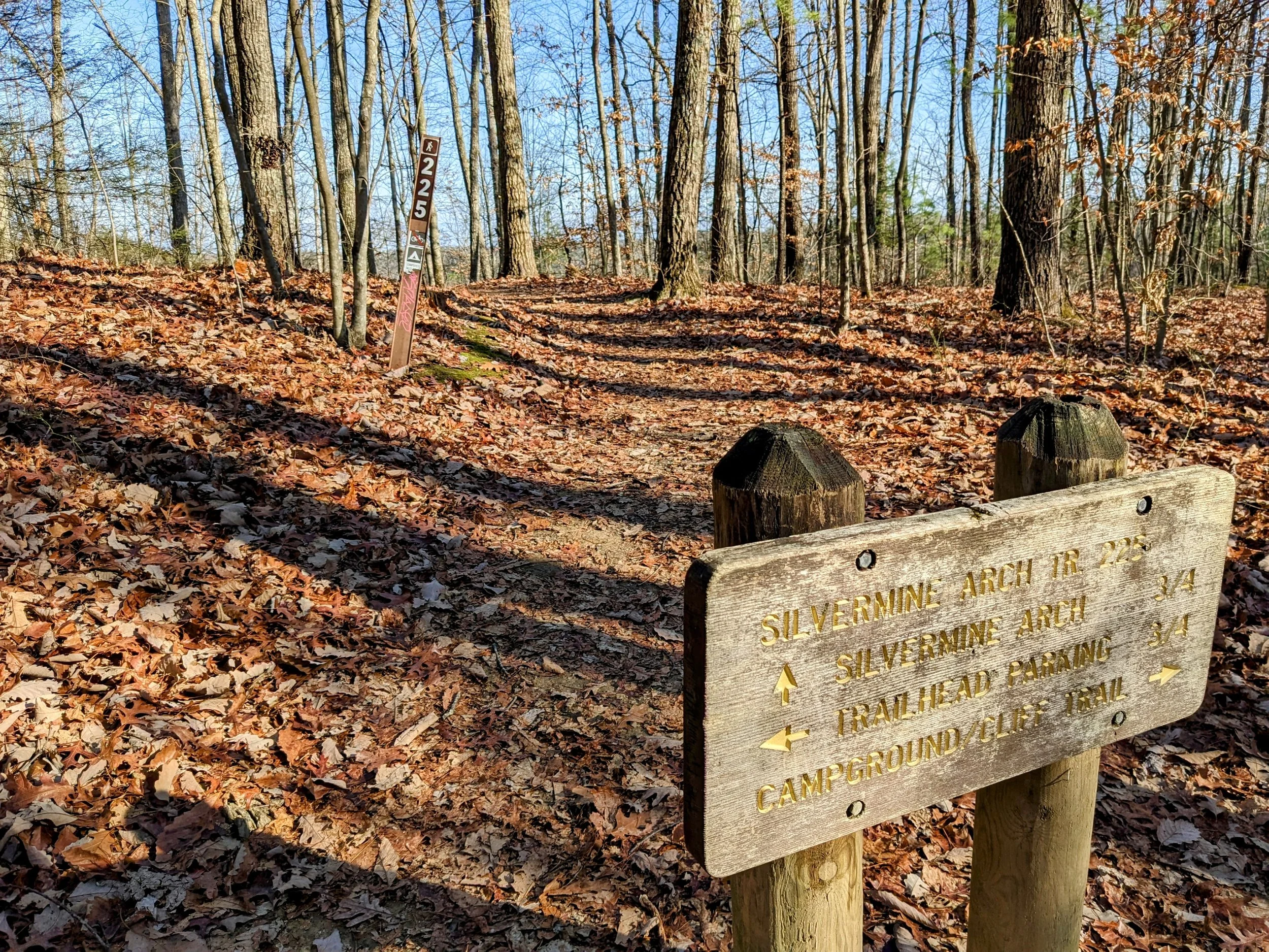 Koomer Ridge Campground Loop — Kentucky Hiker Project