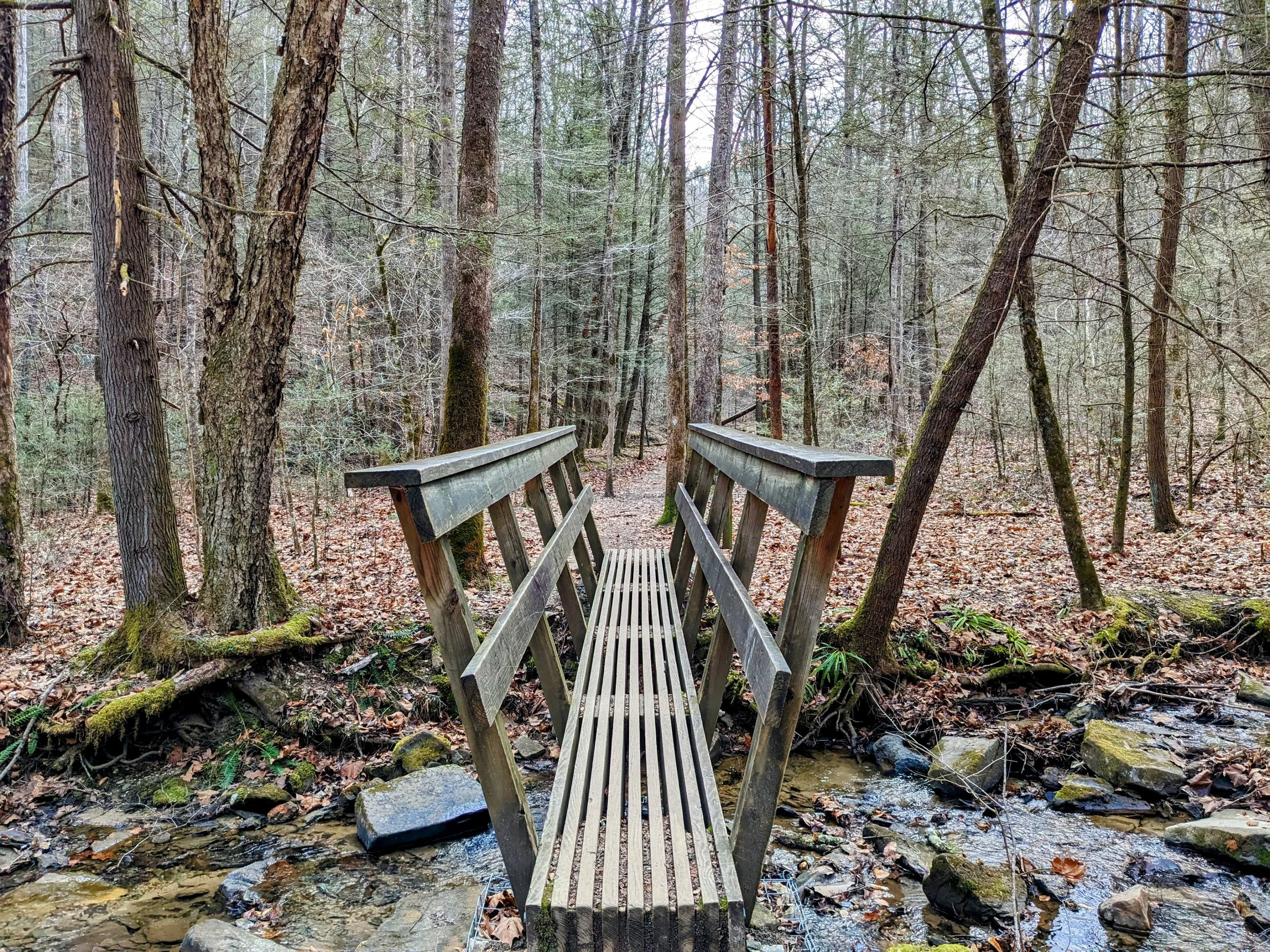 Martin’s Fork Short Loop and Overlooks — Kentucky Hiker Project