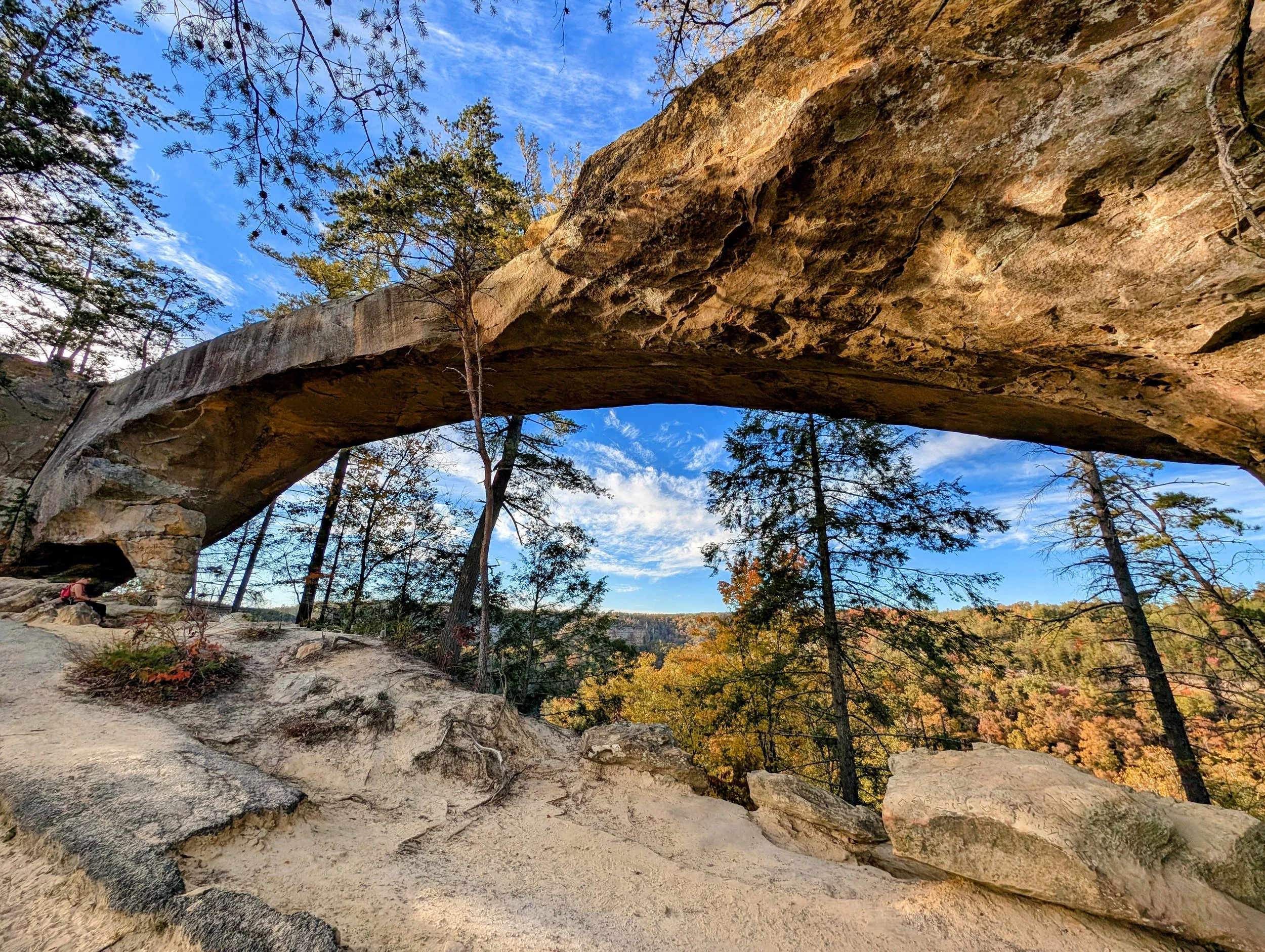Fall Colors at Sky Bridge — Kentucky Hiker Project