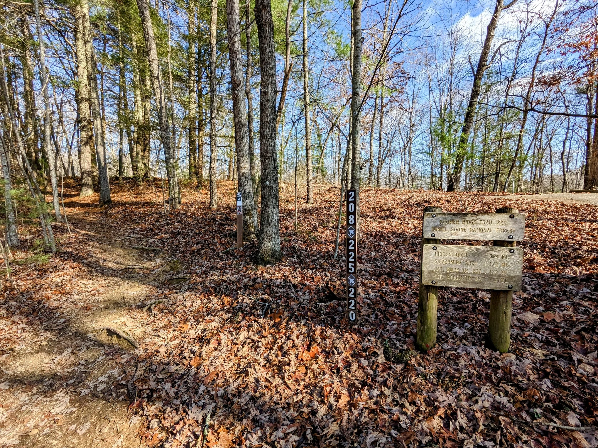 Koomer Ridge Campground Loop — Kentucky Hiker Project