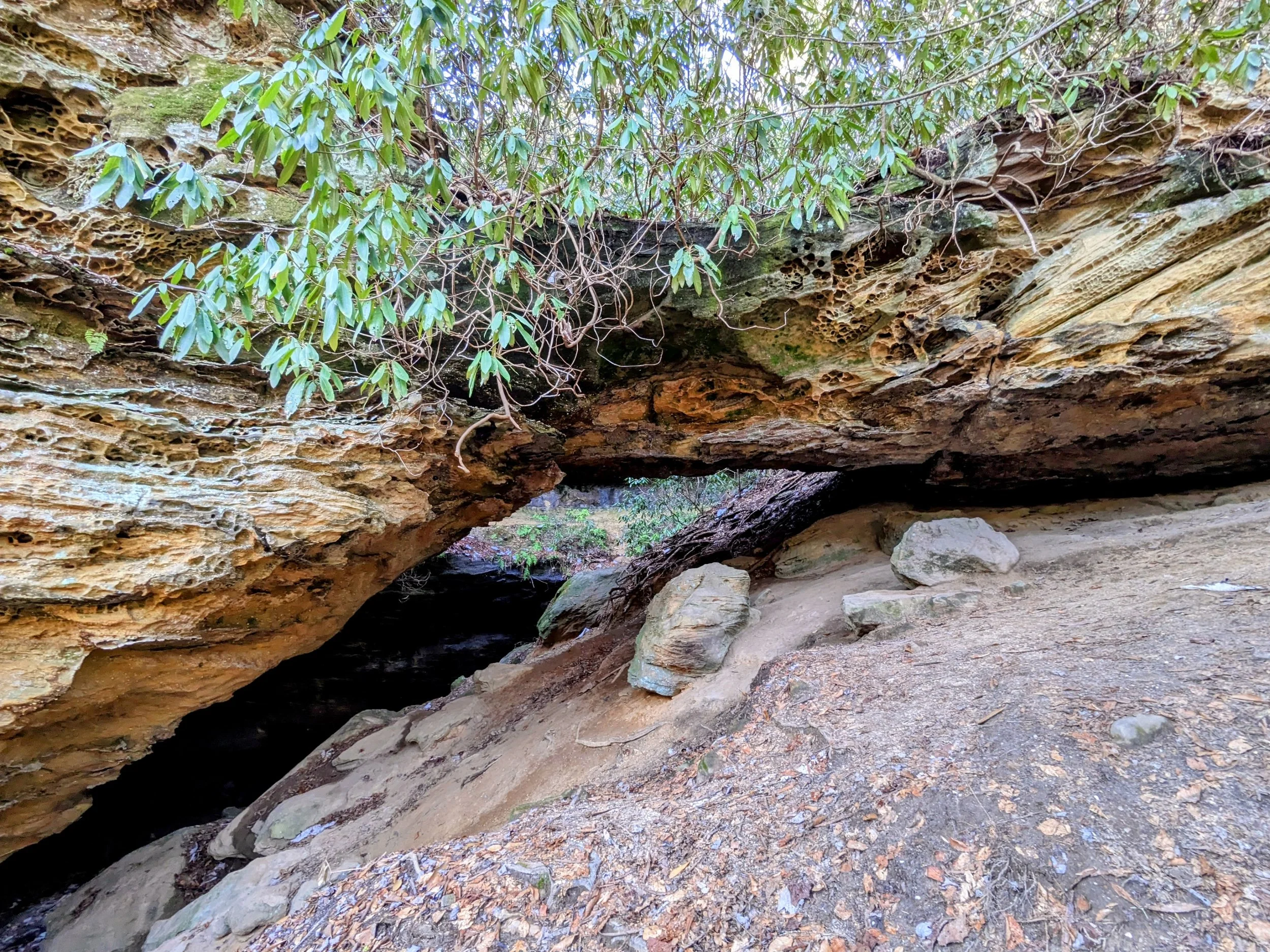Koomer Ridge Campground Loop — Kentucky Hiker Project