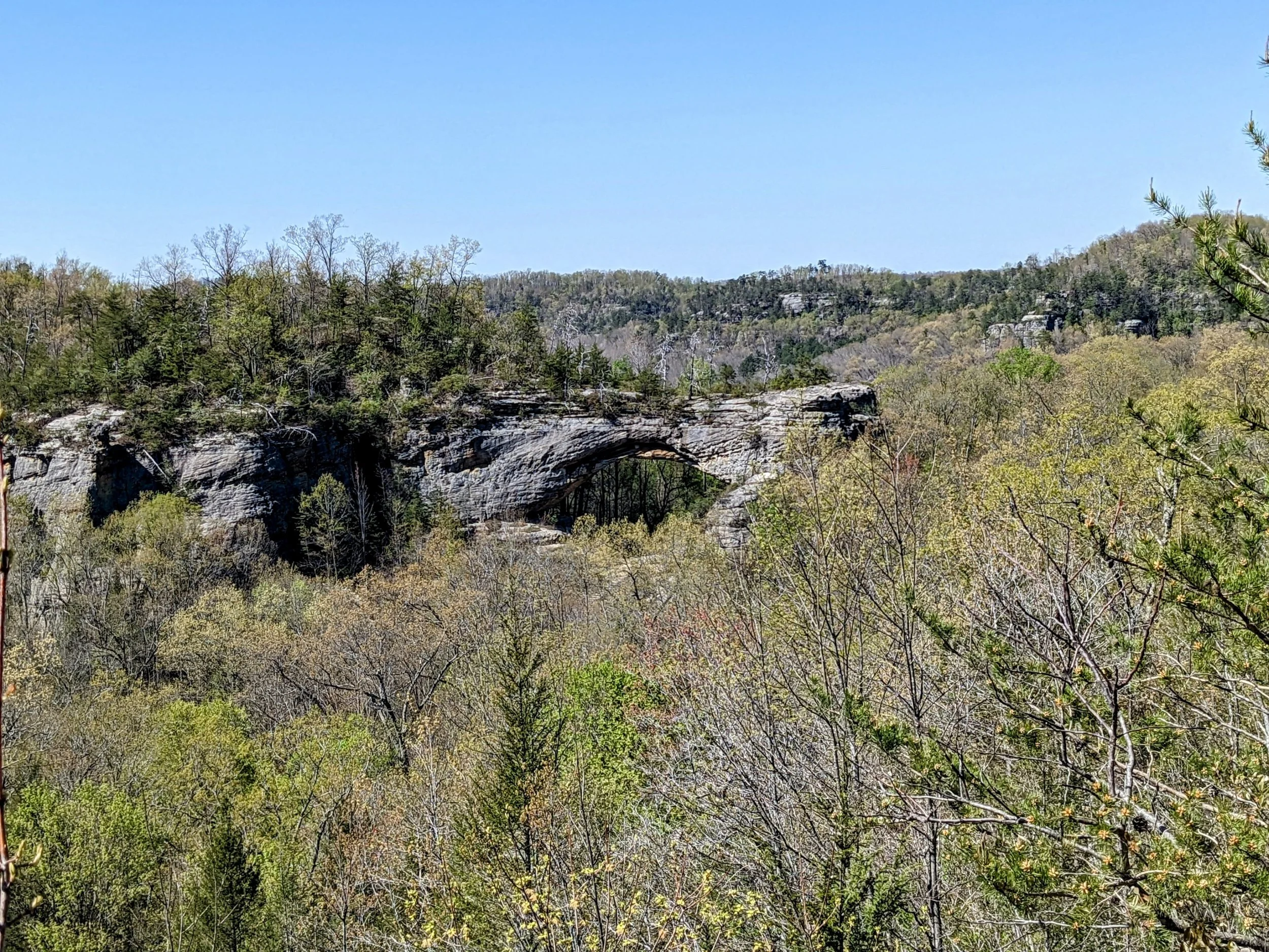 Natural Arch East Overlooks Out and Back — Kentucky Hiker Project