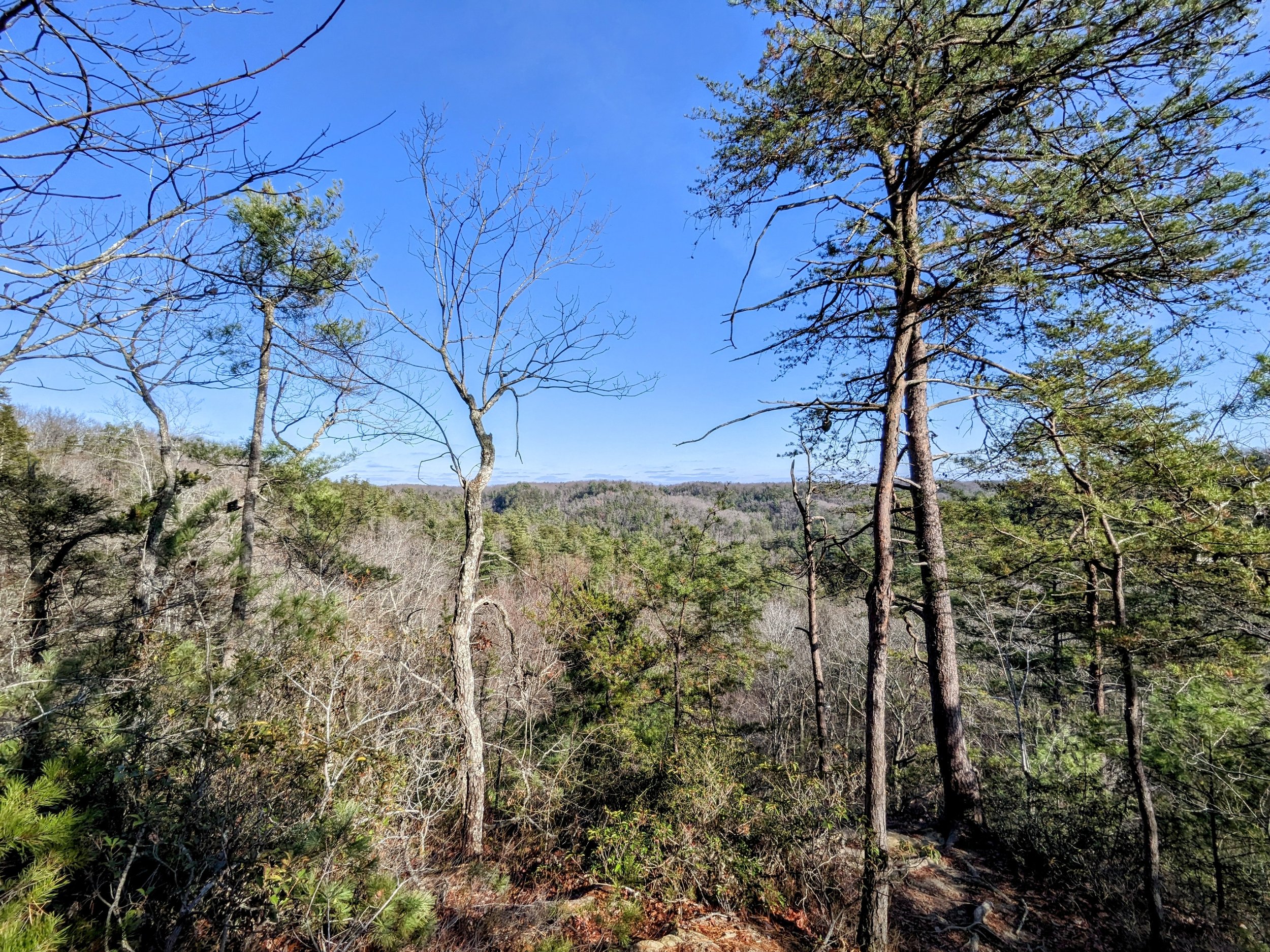 Koomer Ridge Campground Loop — Kentucky Hiker Project