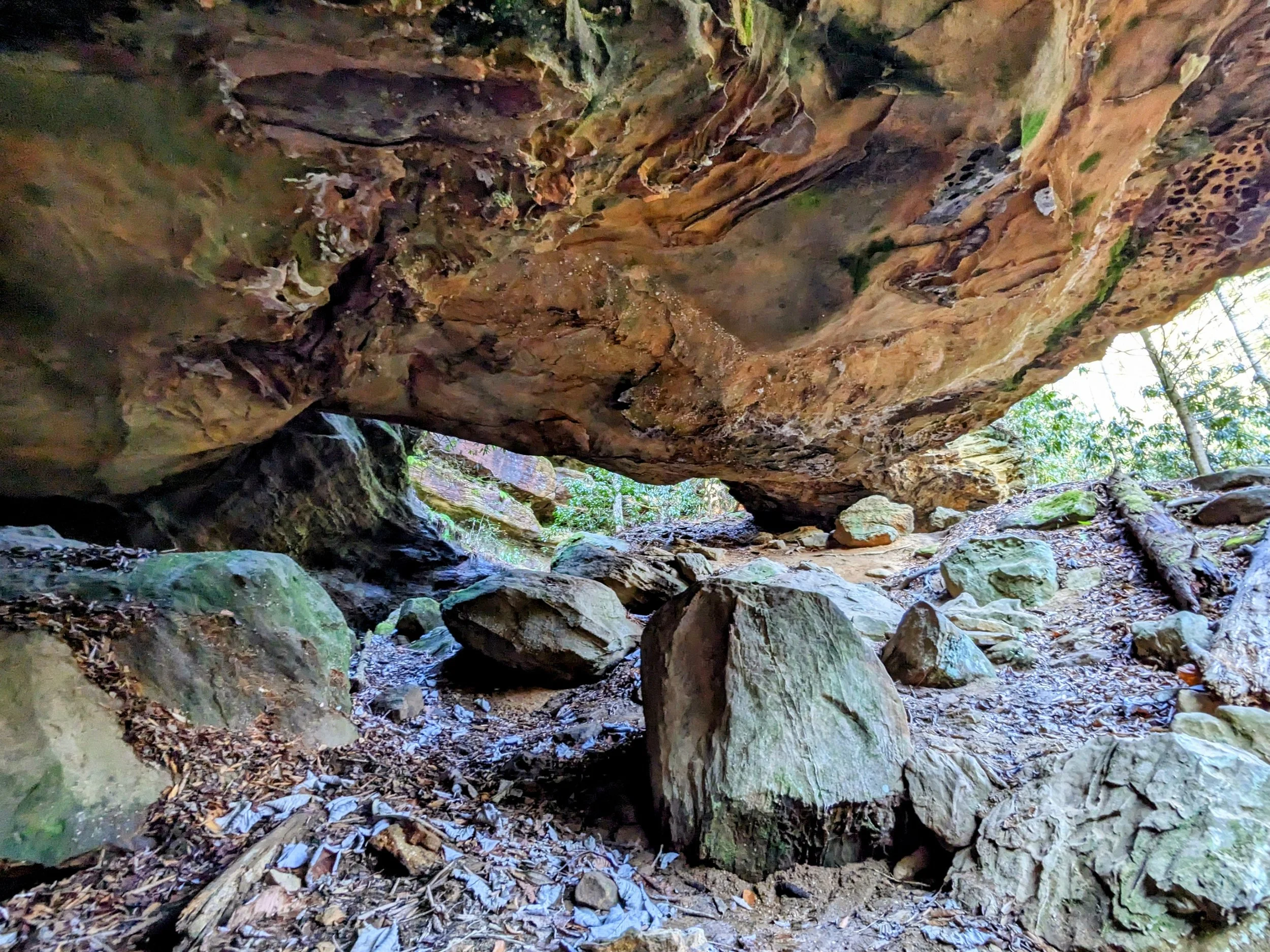Koomer Ridge Campground Loop — Kentucky Hiker Project