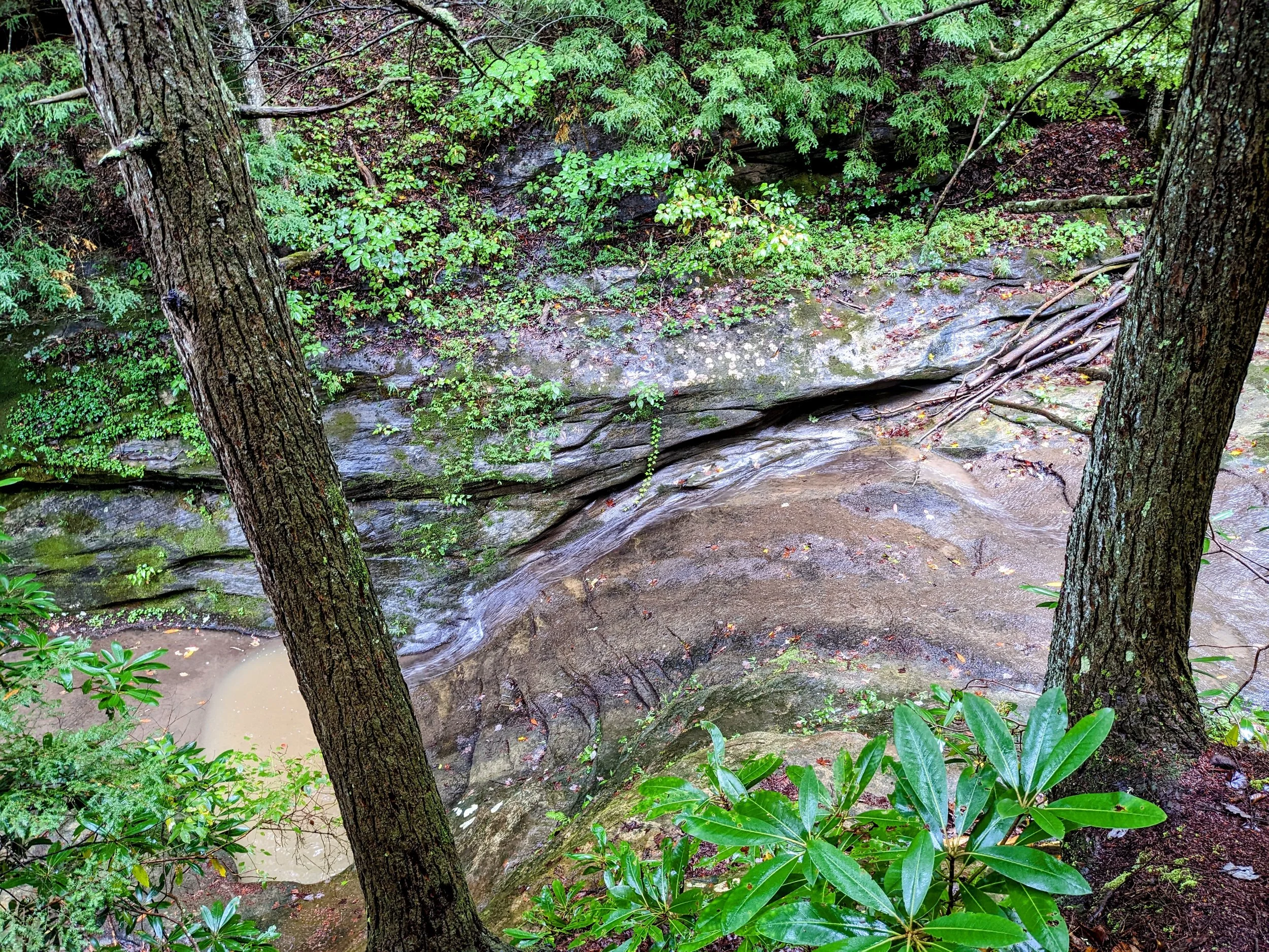 Lick Falls Loop — Kentucky Hiker Project