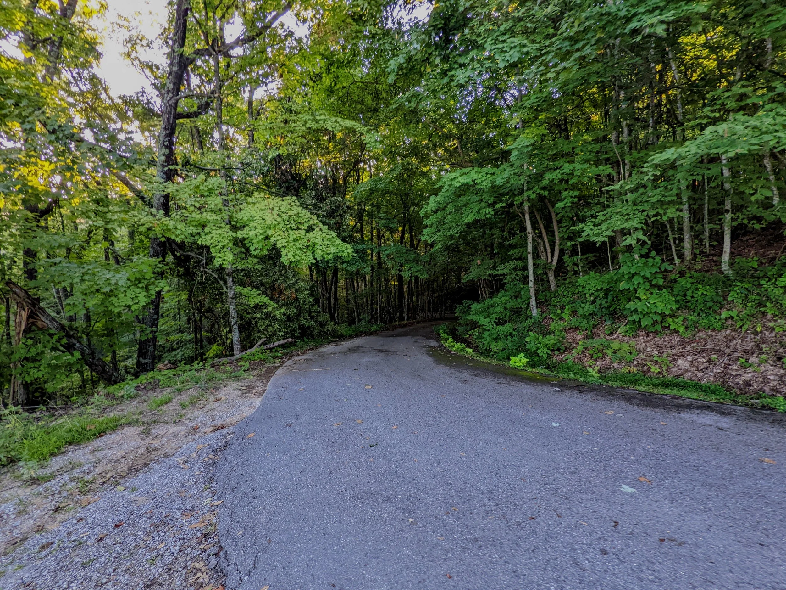 Lone Tree to Pitch Ridge Overlooks Loop on Little Shepherd Trail ...