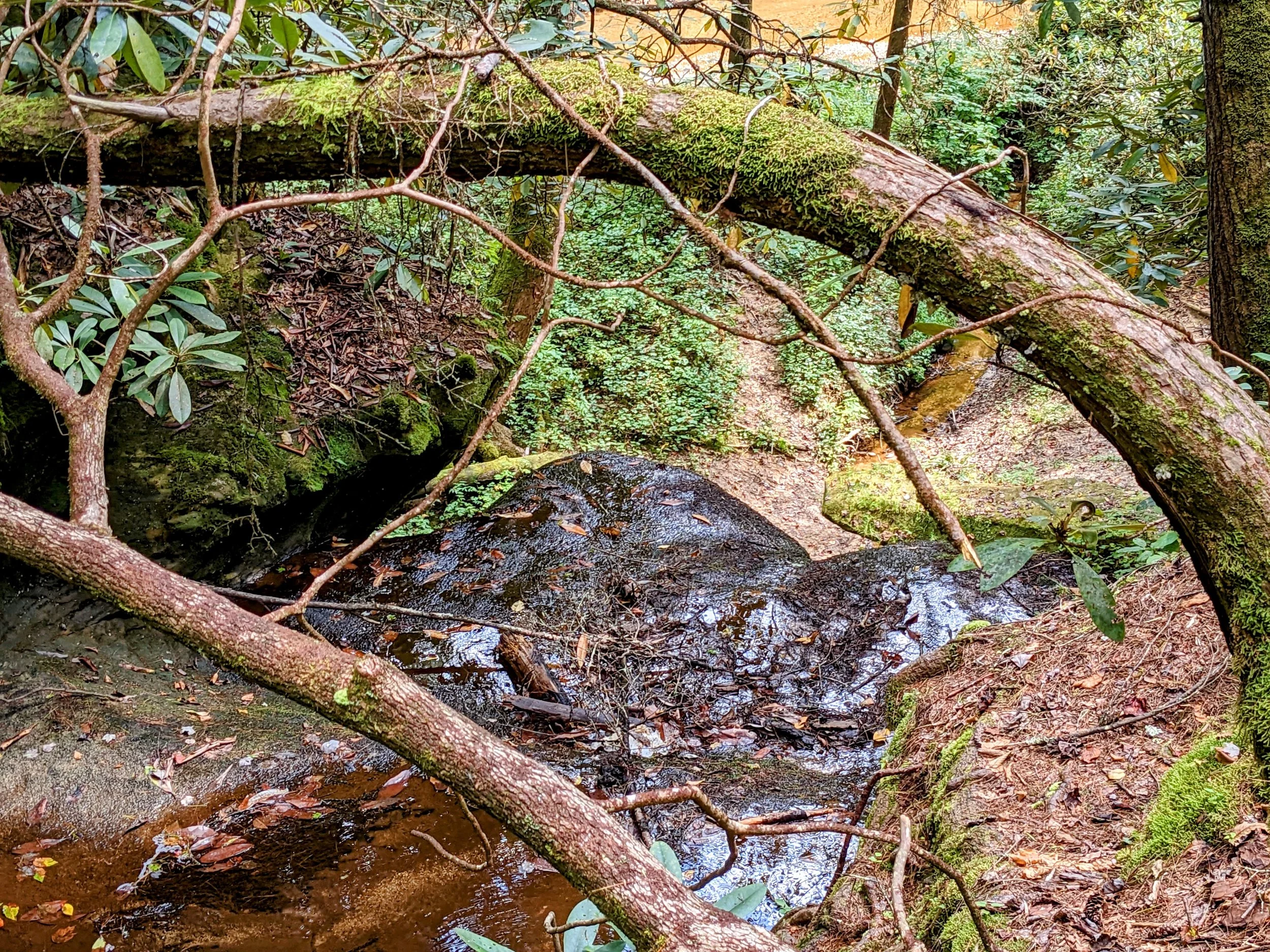 Swift Camp Creek and Spurs - Creation Falls, Rock Bridge, Pooch’s ...