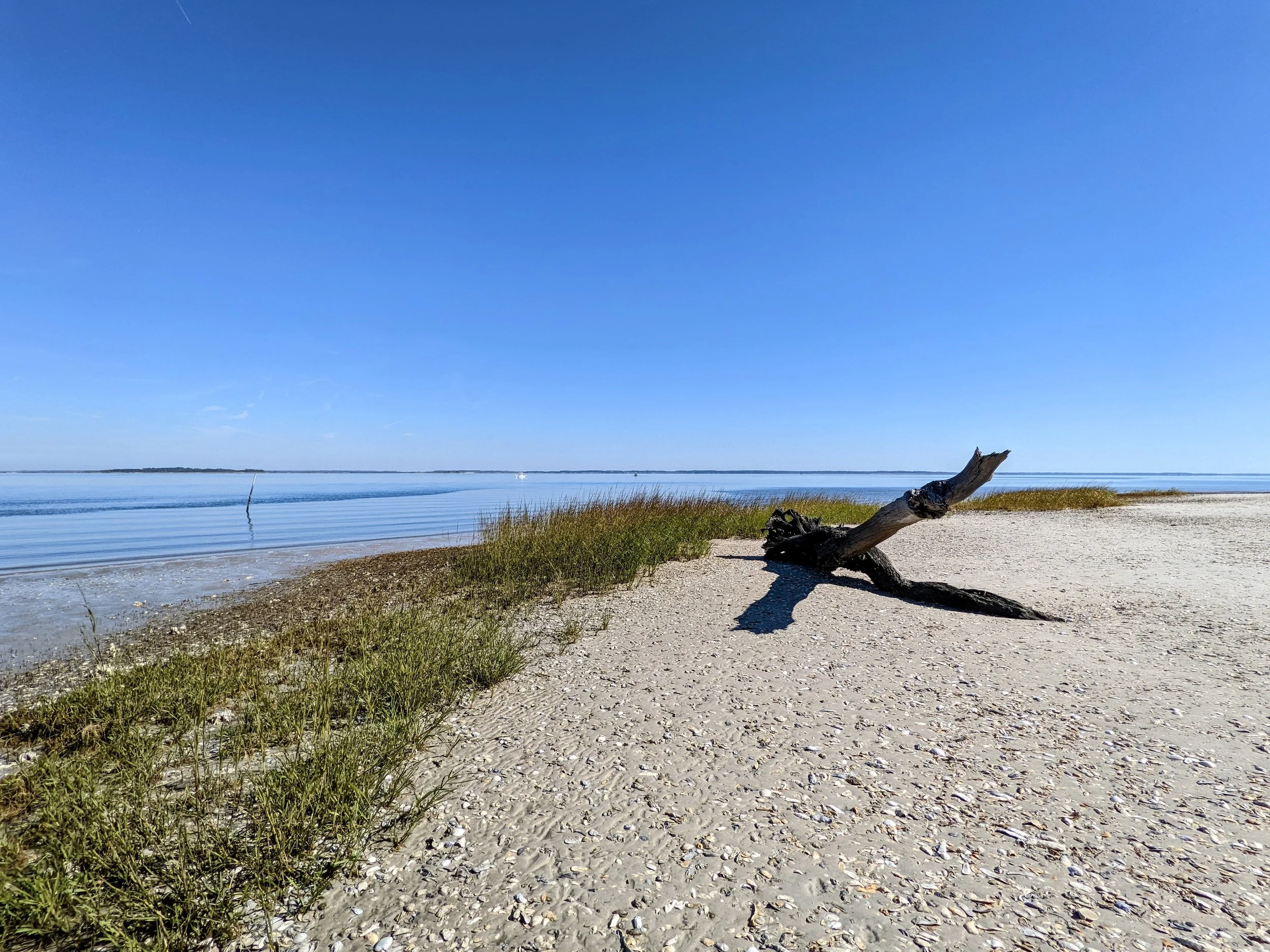 Pinckney Island National Wildlife Refuge Full Tour — Kentucky Hiker Project