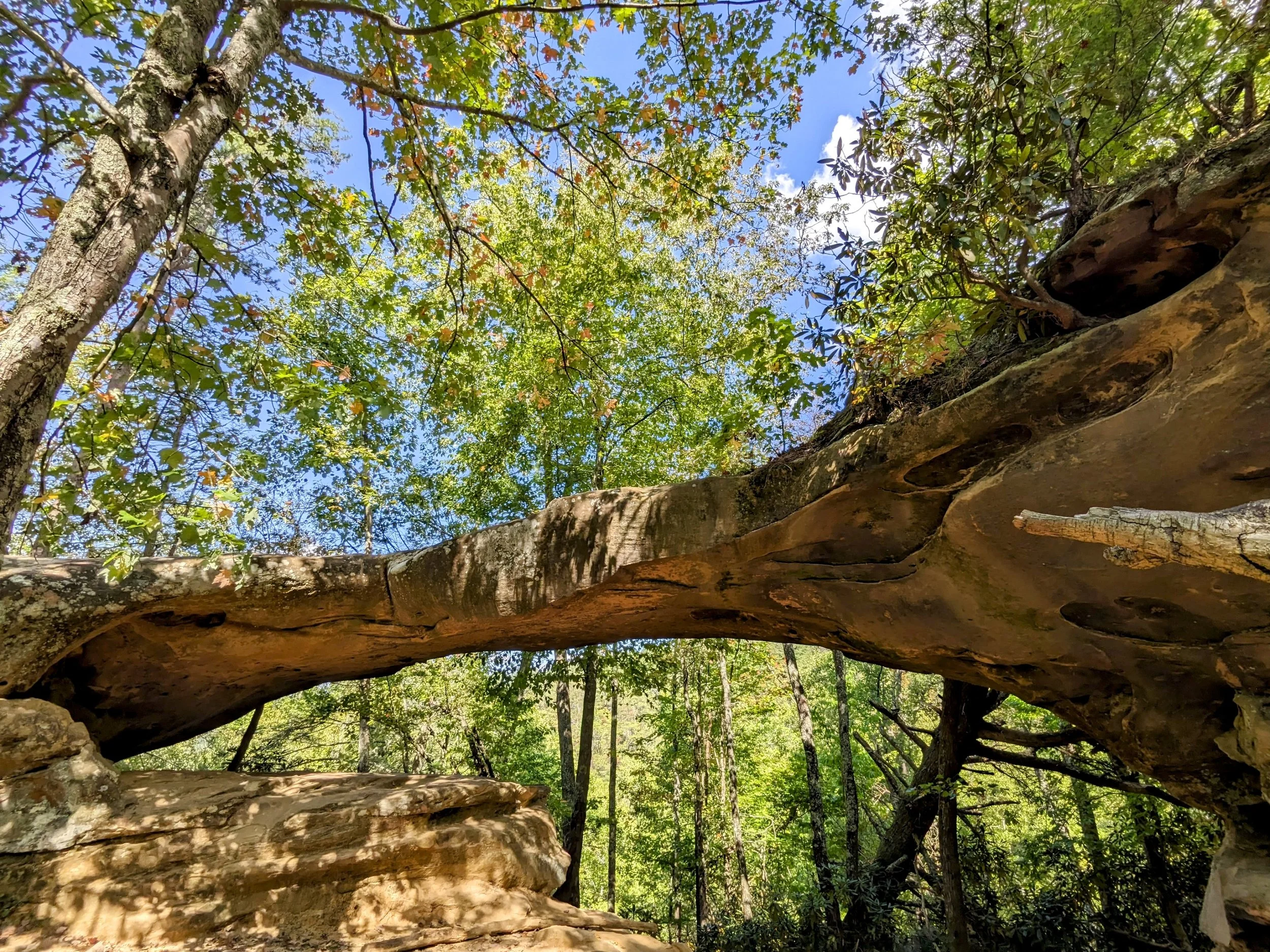 Chimney Top Rock and Princess Arch — Kentucky Hiker Project
